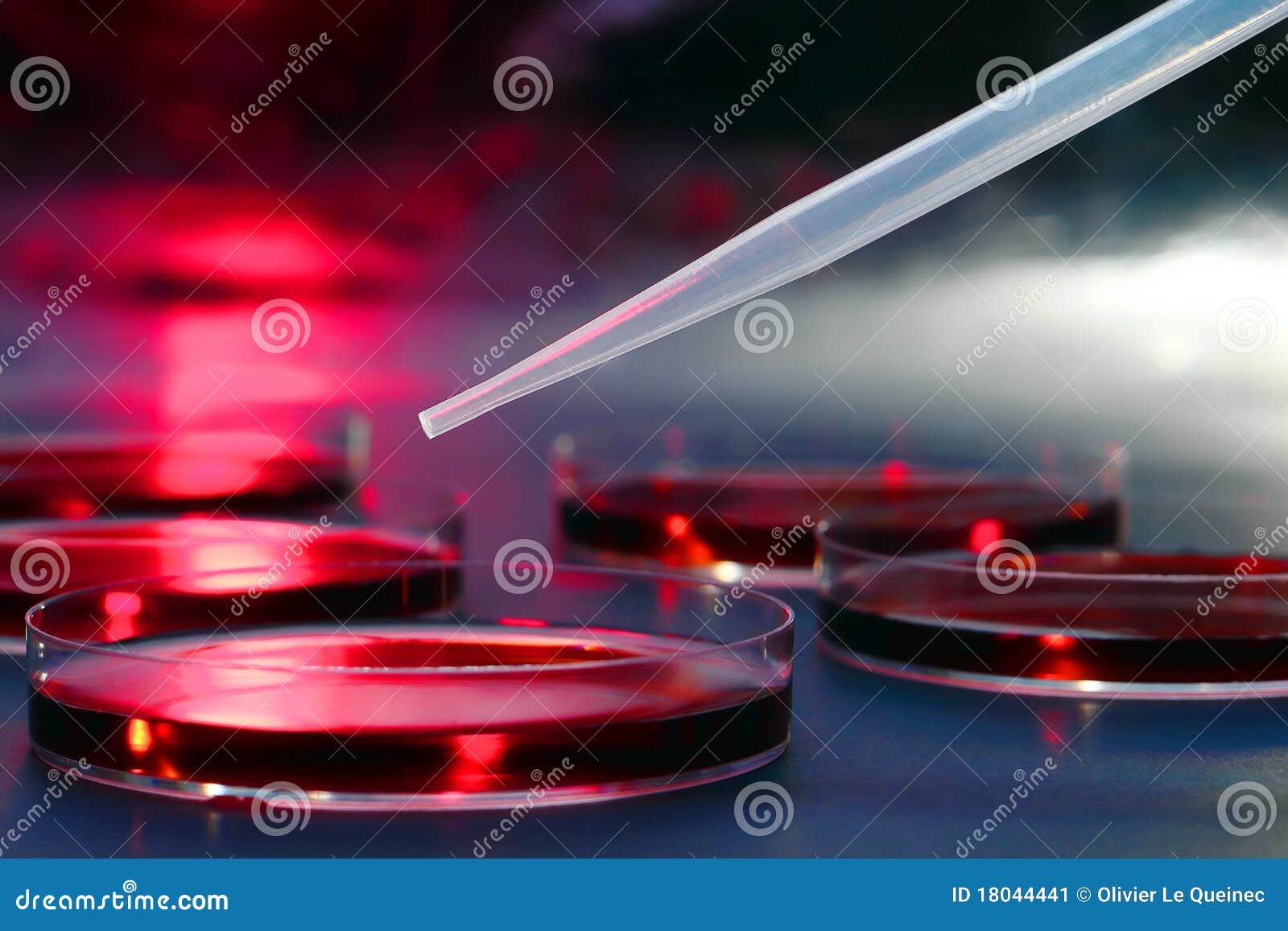 Laboratory Experiment in Science Research Lab Stock Image - Image of ...