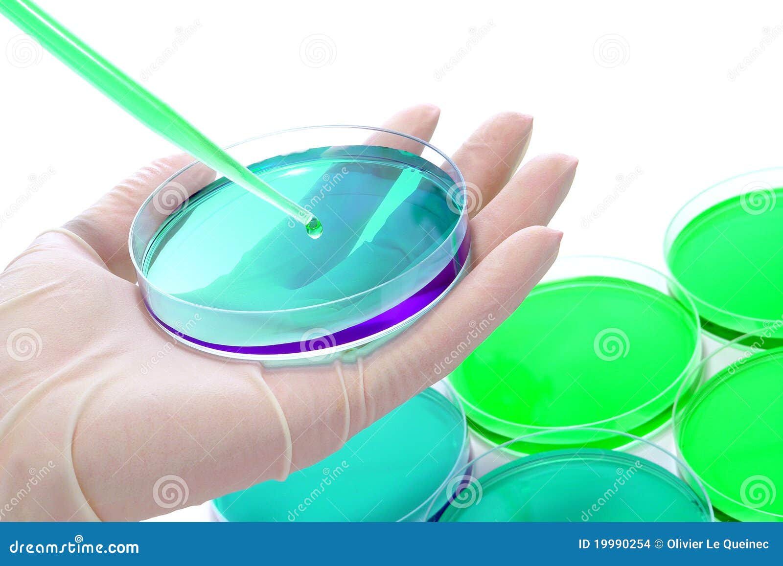 Laboratory Experiment in Science Research Lab Stock Photo - Image of ...