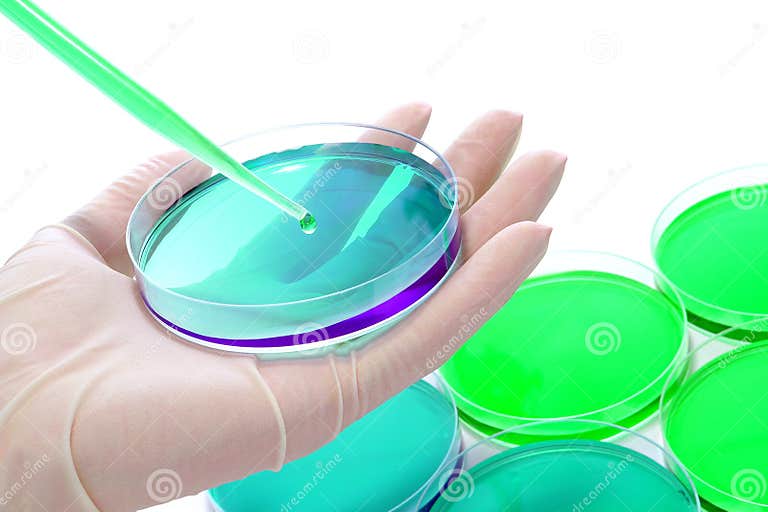 Laboratory Experiment in Science Research Lab Stock Photo - Image of ...