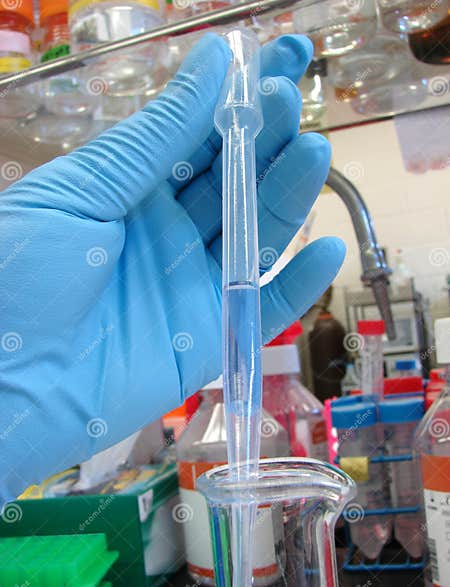 Laboratory Experiment in Science Research Lab Stock Photo - Image of ...