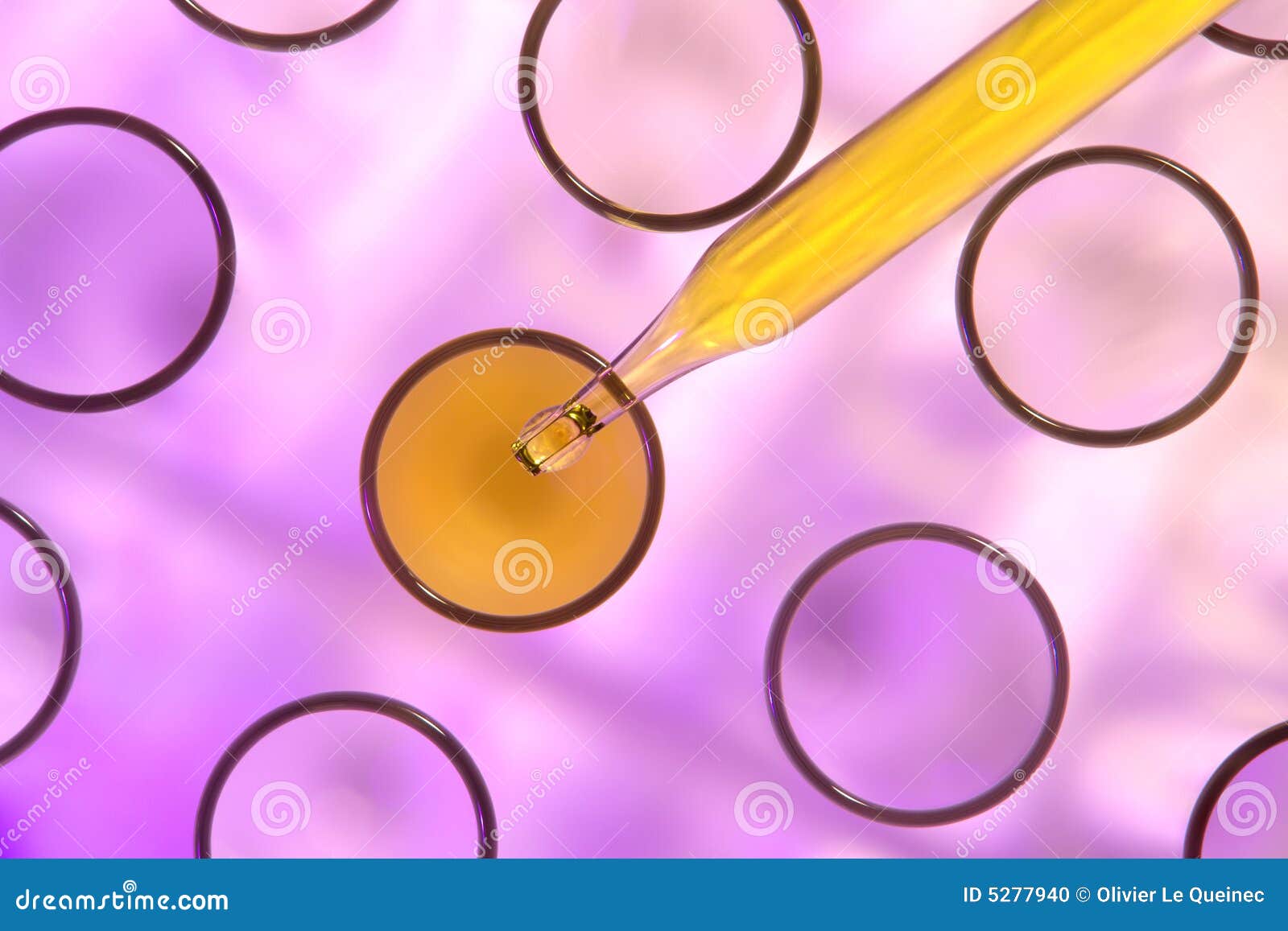 Laboratory Experiment in Science Research Lab Stock Photo - Image of ...