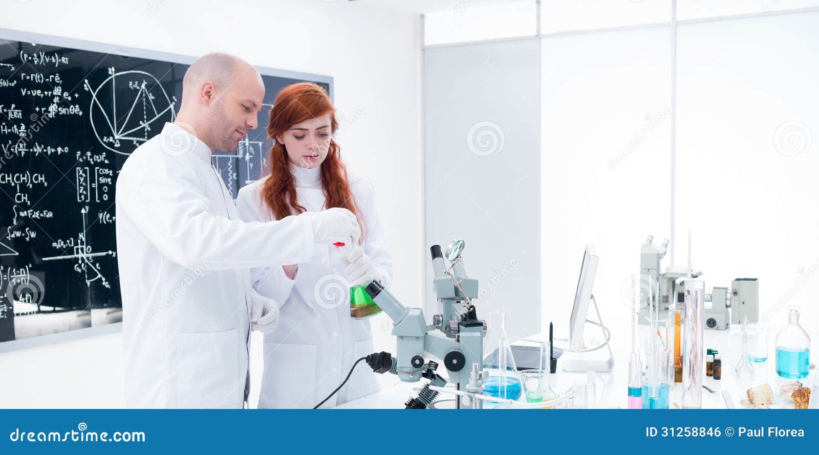 Laboratory experiment stock photo. Image of health, experiment - 31258846