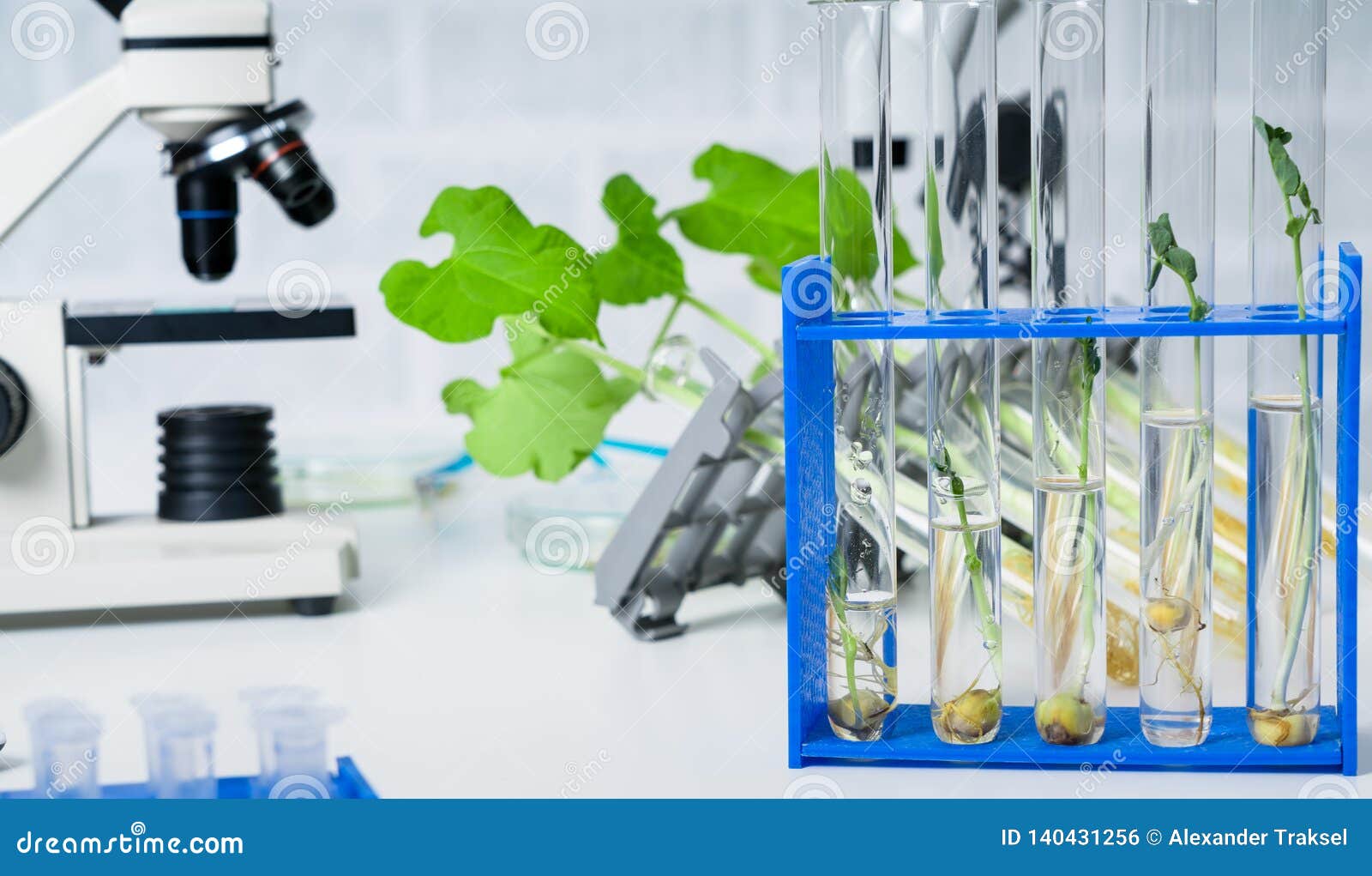Laboratory Exploring New Methods of Plant Breeding Stock Photo - Image ...