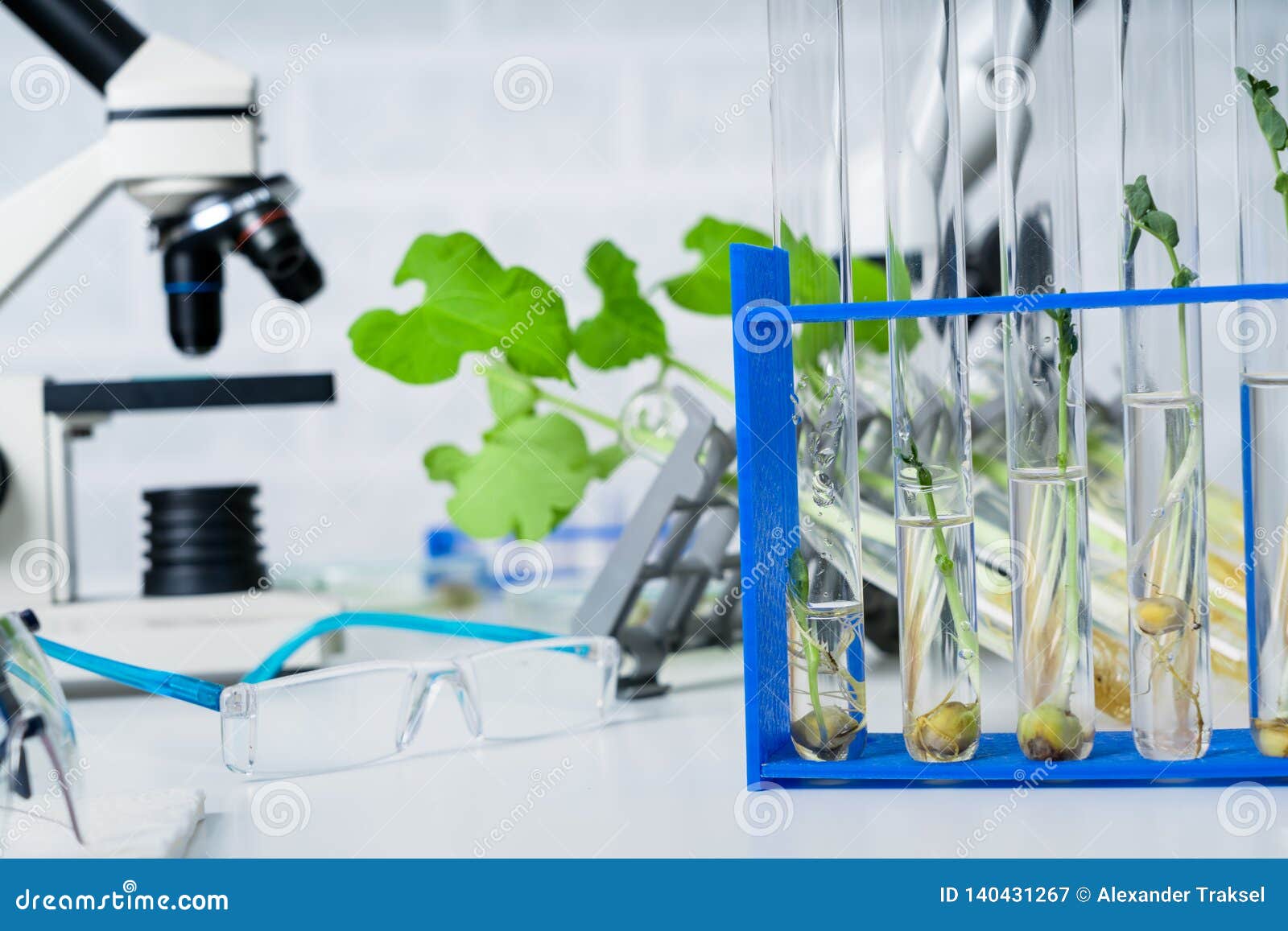 Laboratory Exploring New Methods of Plant Breeding Stock Image - Image ...