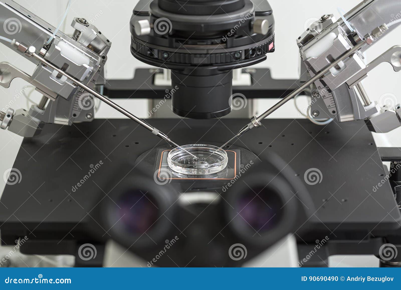 Laboratory Fertilization in IVF Microscope Stock Photo - Image of ...