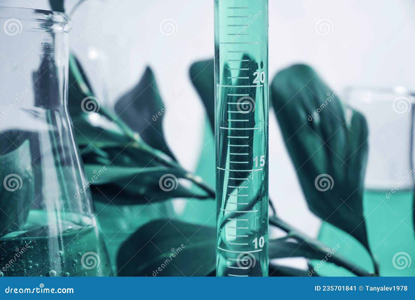 Laboratory Flask Flower on a Light Background Extraction Stock Image ...