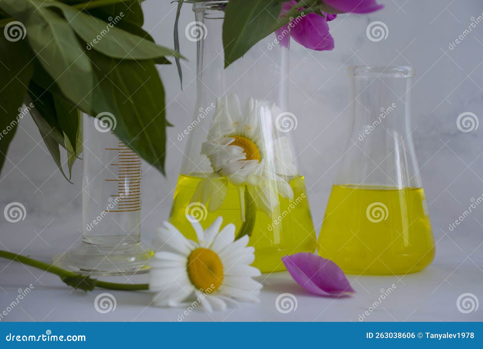 Laboratory Flask Flower on a Light Experiment Technology Stock Photo ...