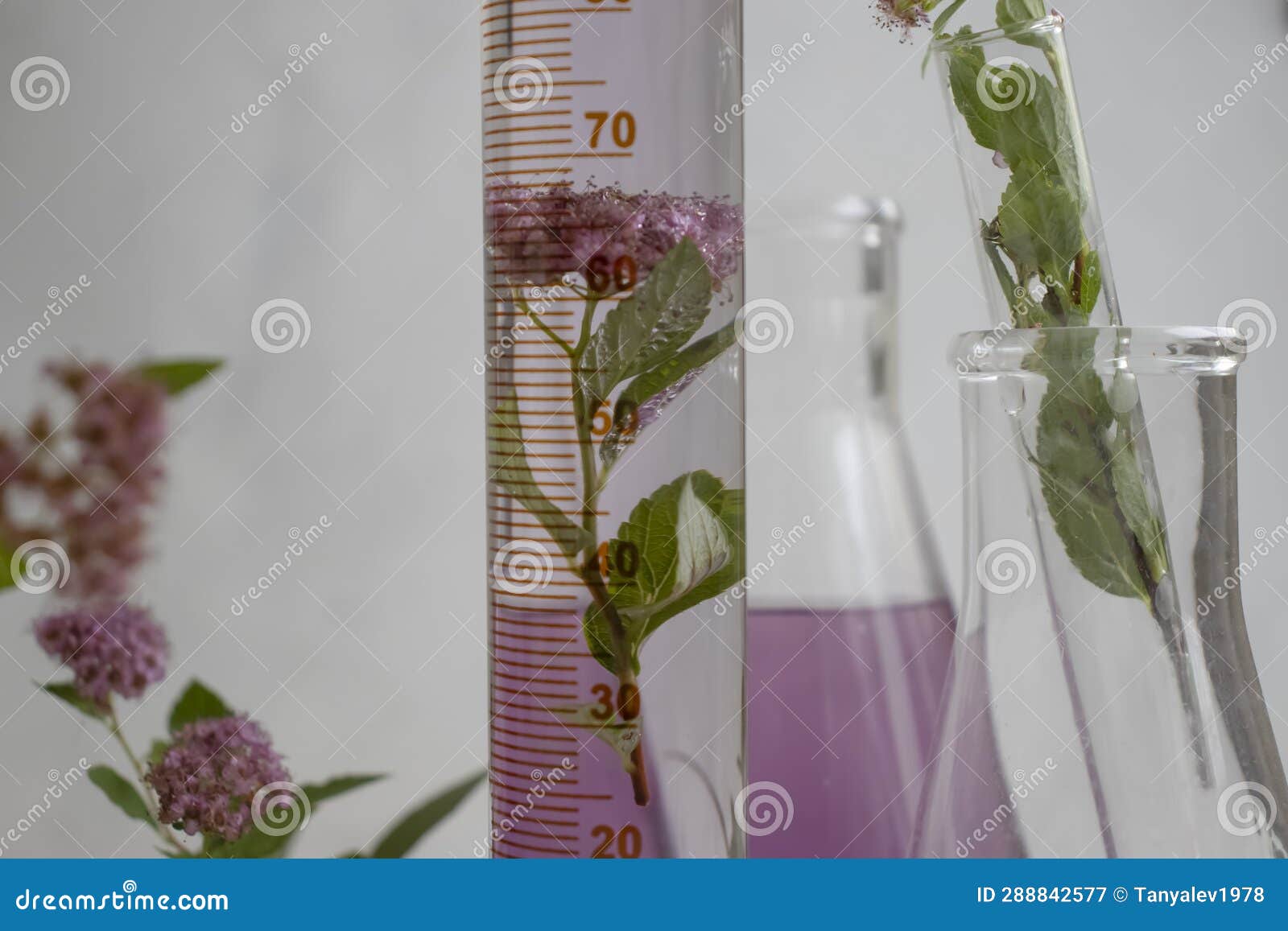Laboratory Flask with Flowers Background Essential Stock Image - Image ...