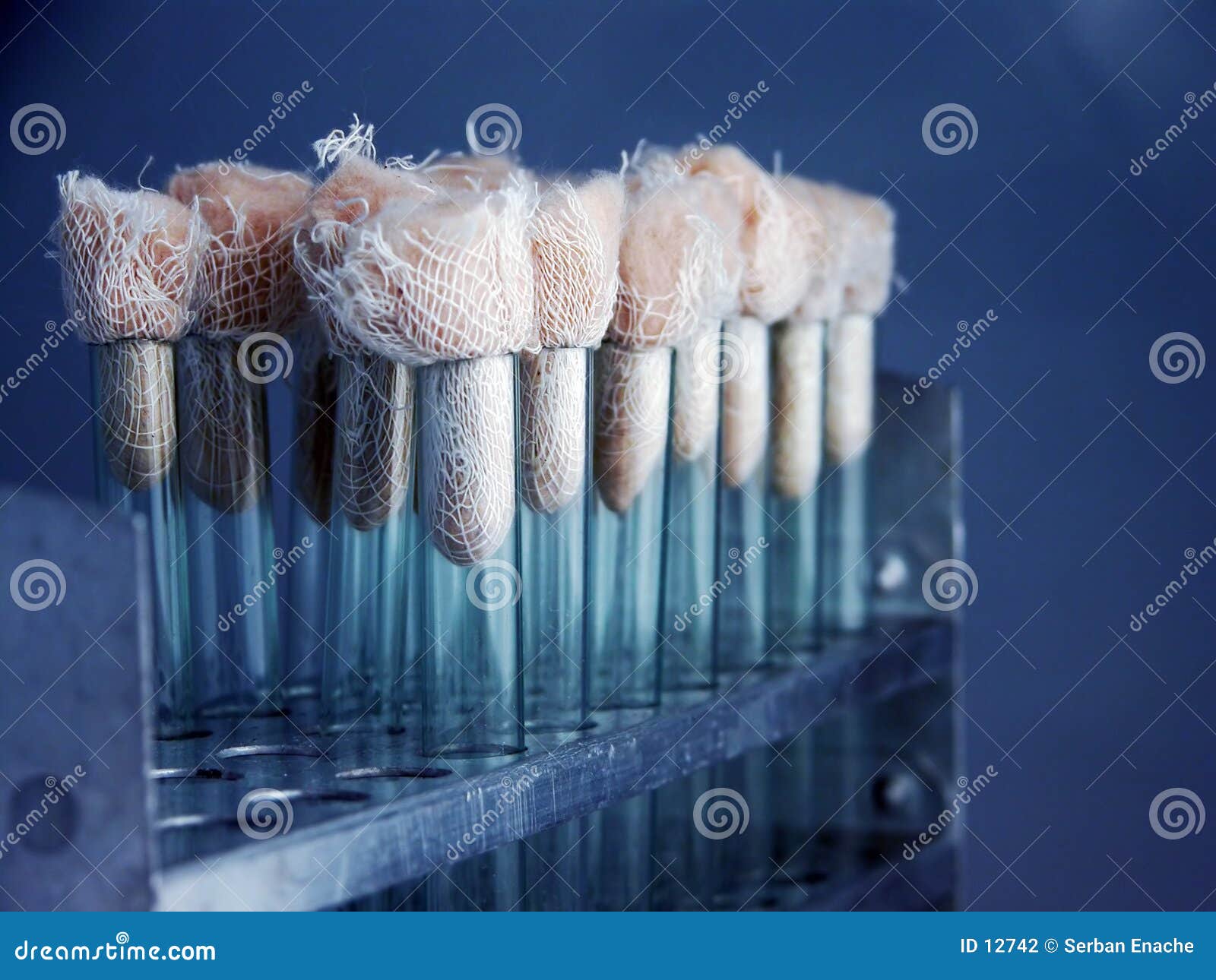 Laboratory flasks stock photo. Image of imunology, intravenous - 12742