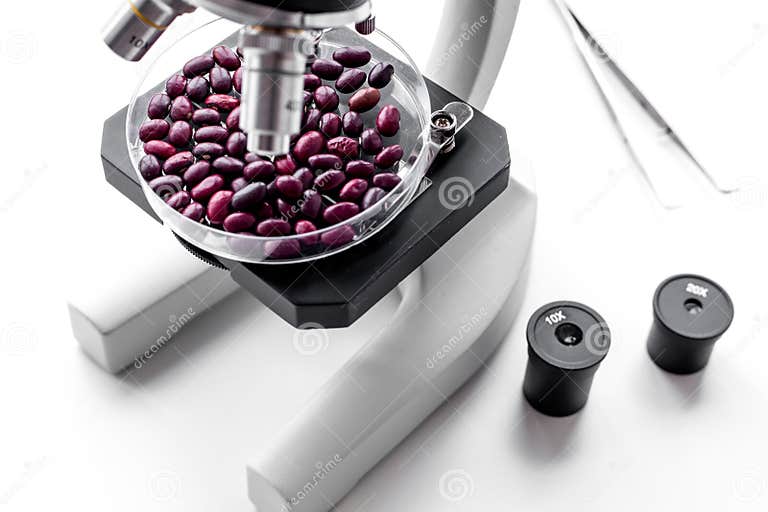 Laboratory for Food Analysis. Red Beans Under the Microscope on White ...