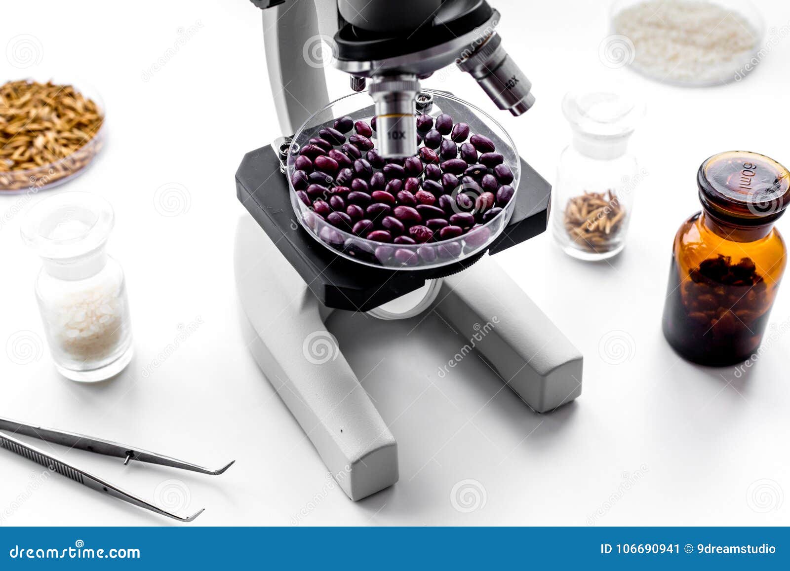 Laboratory for Food Analysis. Red Beans Under the Microscope on White ...