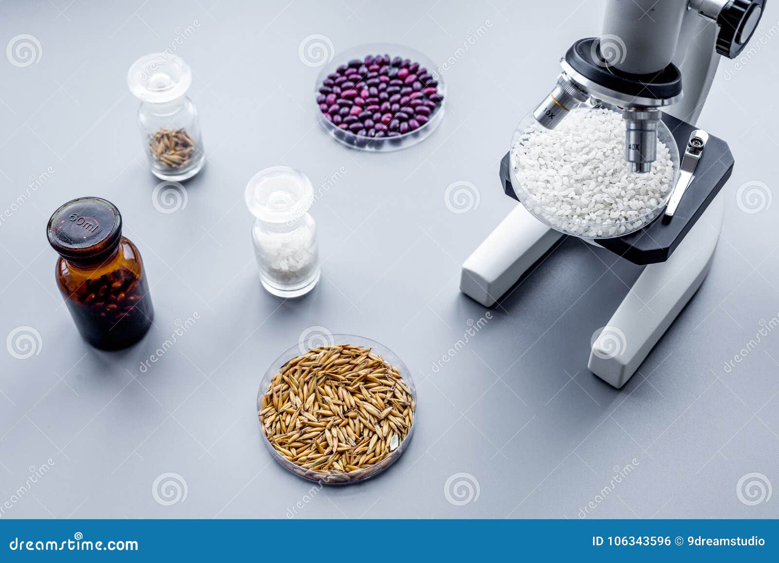 Laboratory for Food Analysis. Rice Under the Microscope on Grey ...