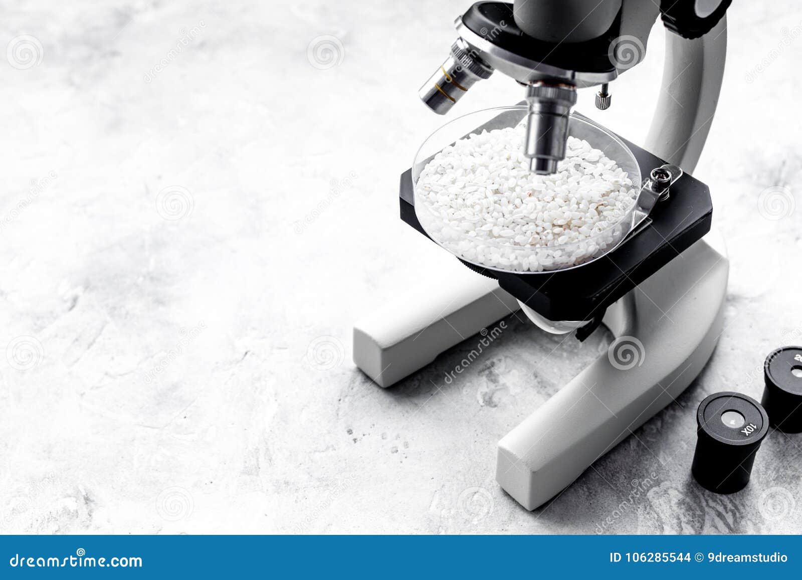 Laboratory for Food Analysis. Rice Under the Microscope on White ...