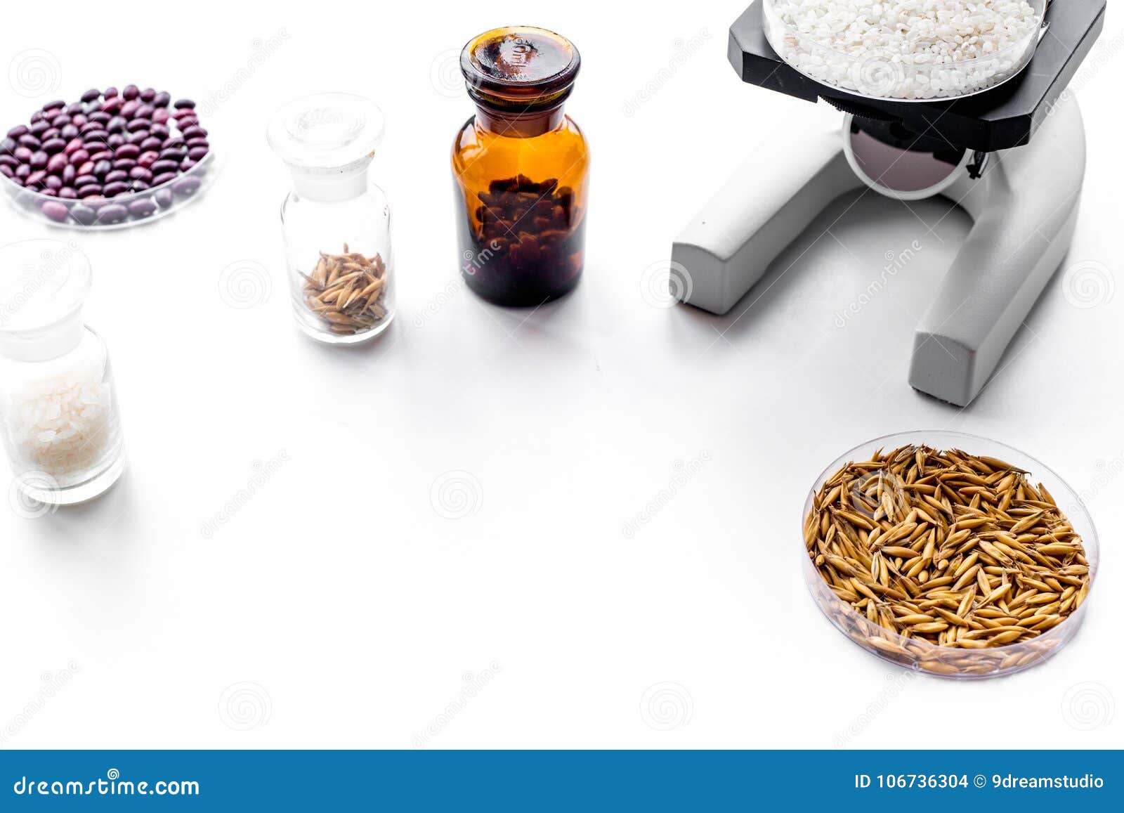 Laboratory for Food Analysis. Rice Under the Microscope on White ...