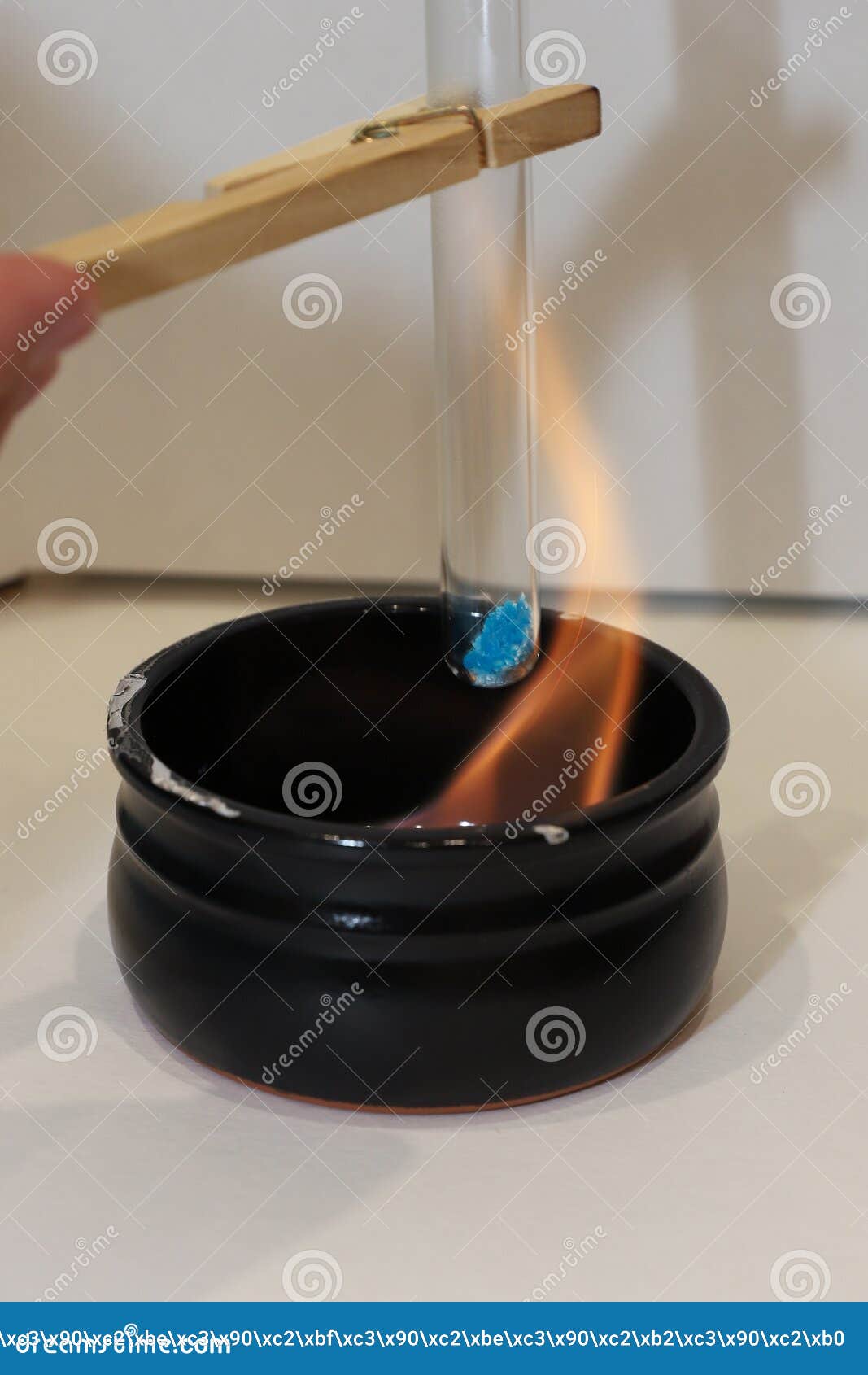 Laboratory Glass Test Tubes Empty and Ready for an Experiment in a ...