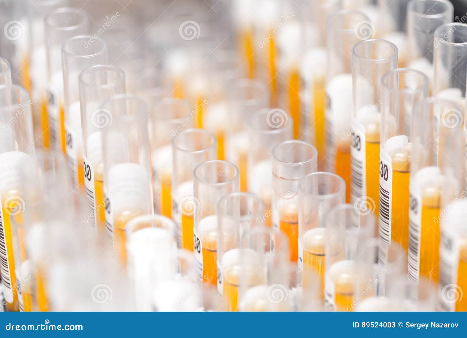 Laboratory Glass Test Tubes Filled with Orange Liquid for an Experiment ...