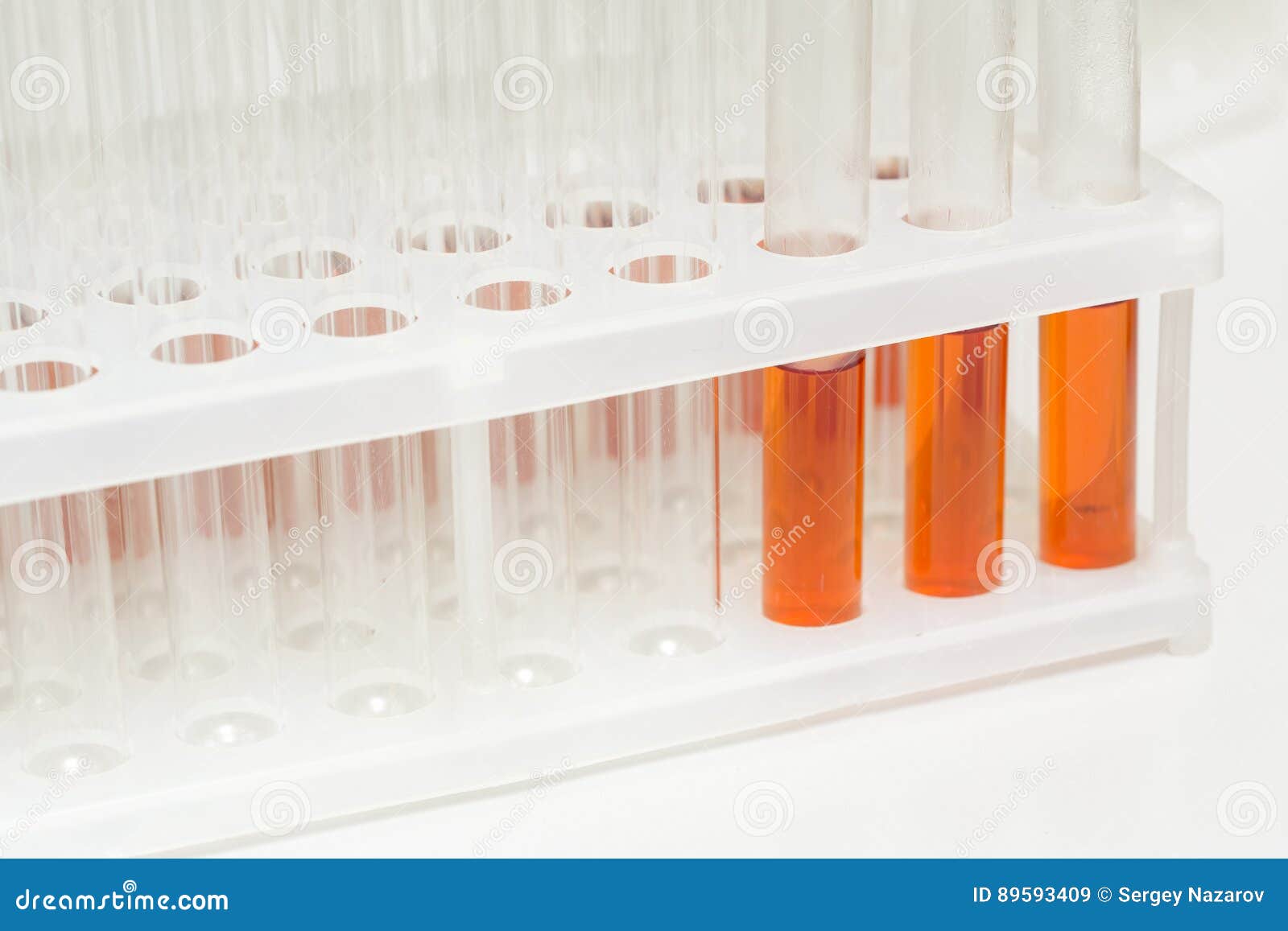 Laboratory Glass Test Tubes Filled with Orange Liquid for an Experiment ...