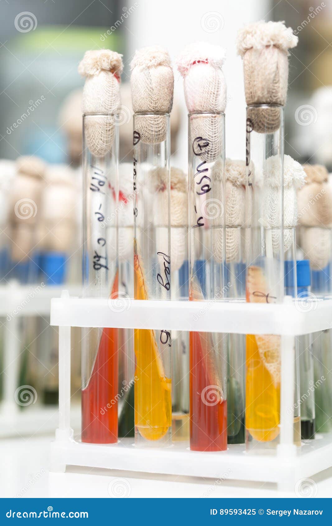 Laboratory Glass Test Tubes Filled with Orange Liquid for an Experiment ...