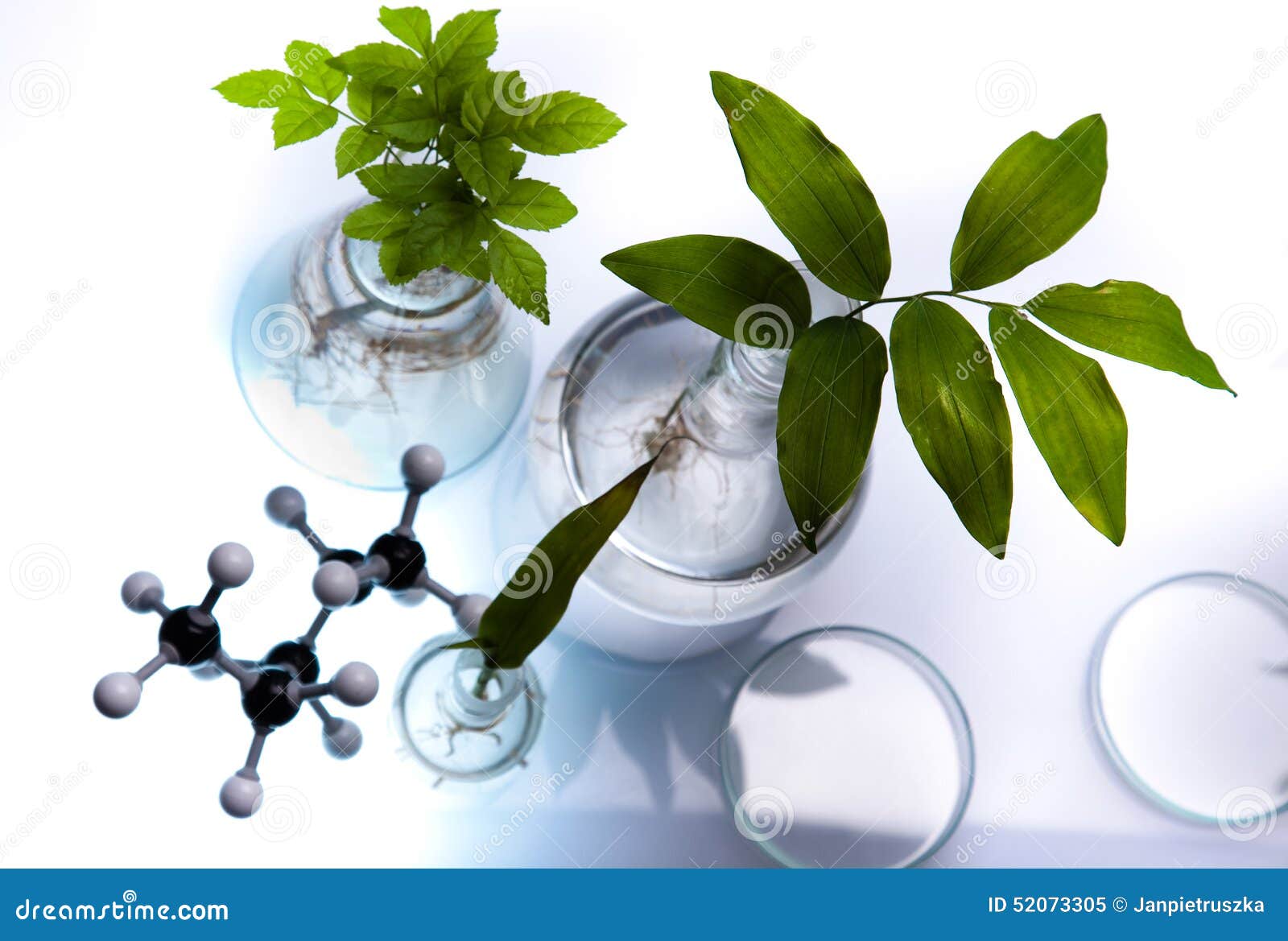 Laboratory Glassware, Bio Organic Modern Concept Stock Image - Image of ...