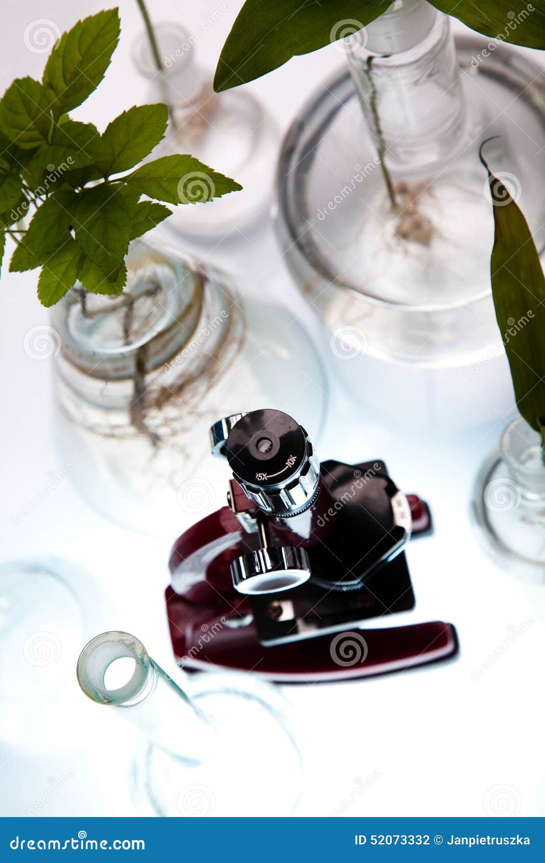 Laboratory Glassware, Bio Organic Modern Concept Stock Photo - Image of ...