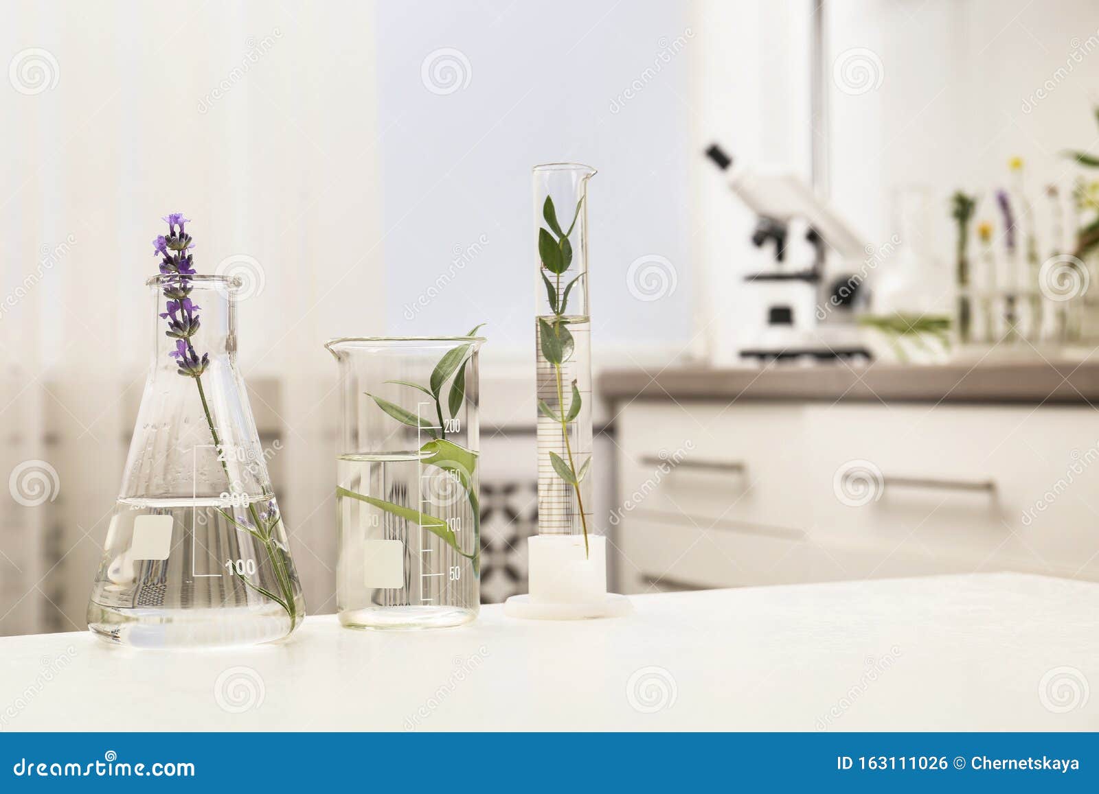 Laboratory Glassware with Different Plants on Table Stock Photo - Image ...