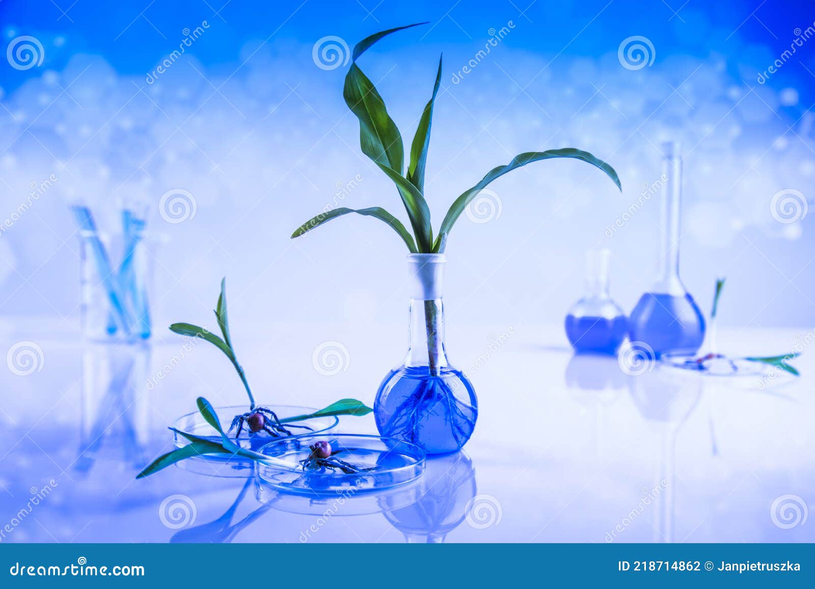 Laboratory Glassware, Plant Laboratory Experimental Stock Photo - Image ...