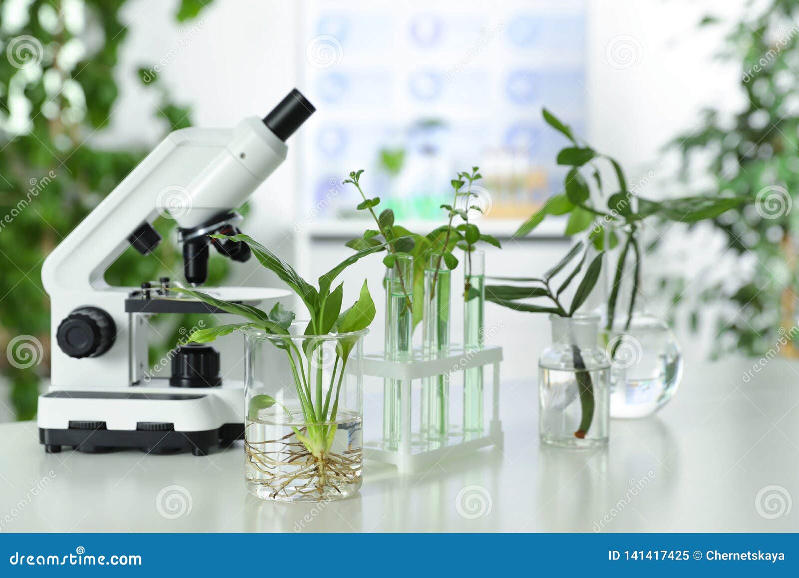 Laboratory Glassware with Plants and Microscope on Table. Stock Image ...