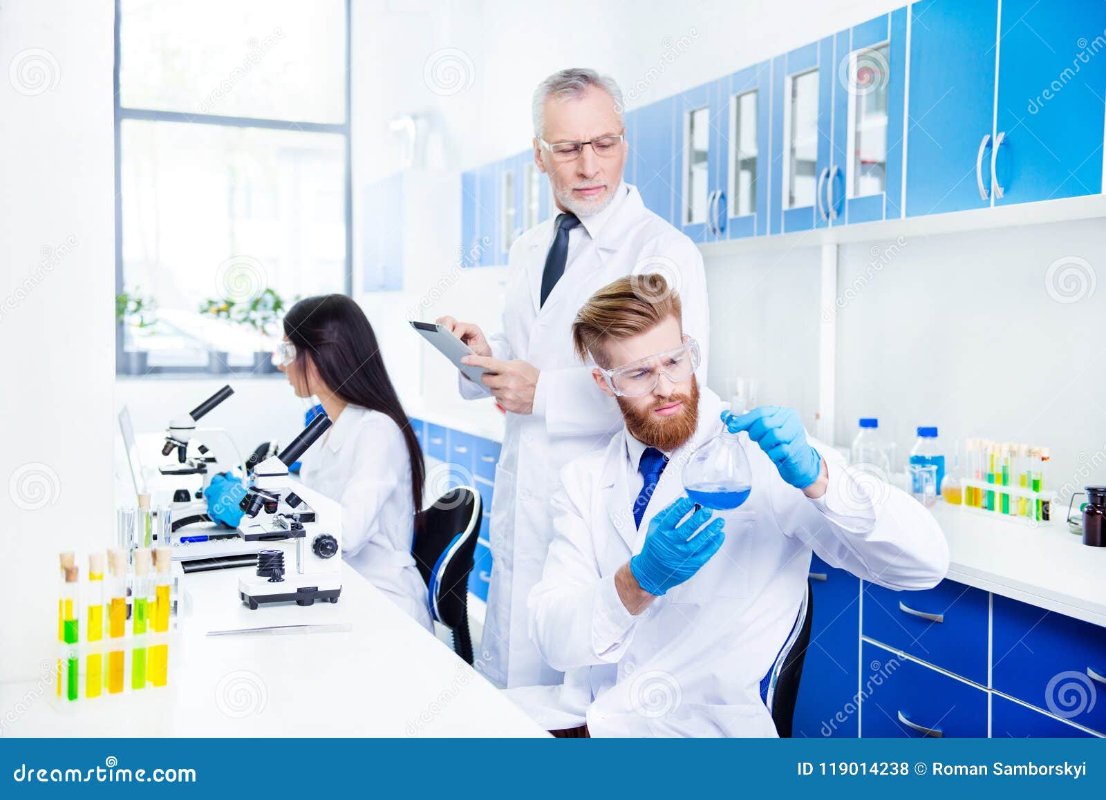 Laboratory Group of Three is Working for New Project. Young Bear Stock ...