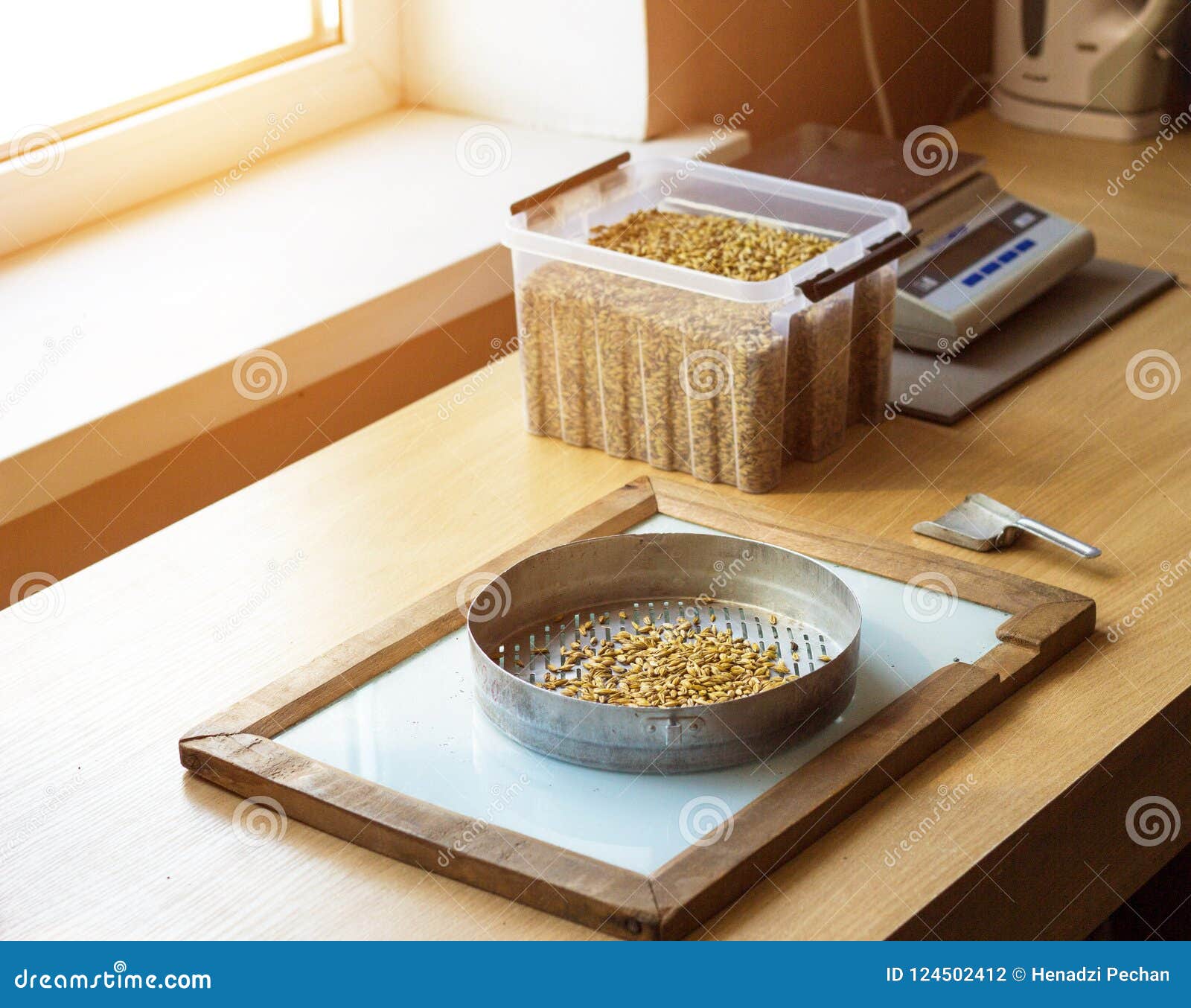 Laboratory for the Inspection and Analysis of Grain, on the Table Lies ...