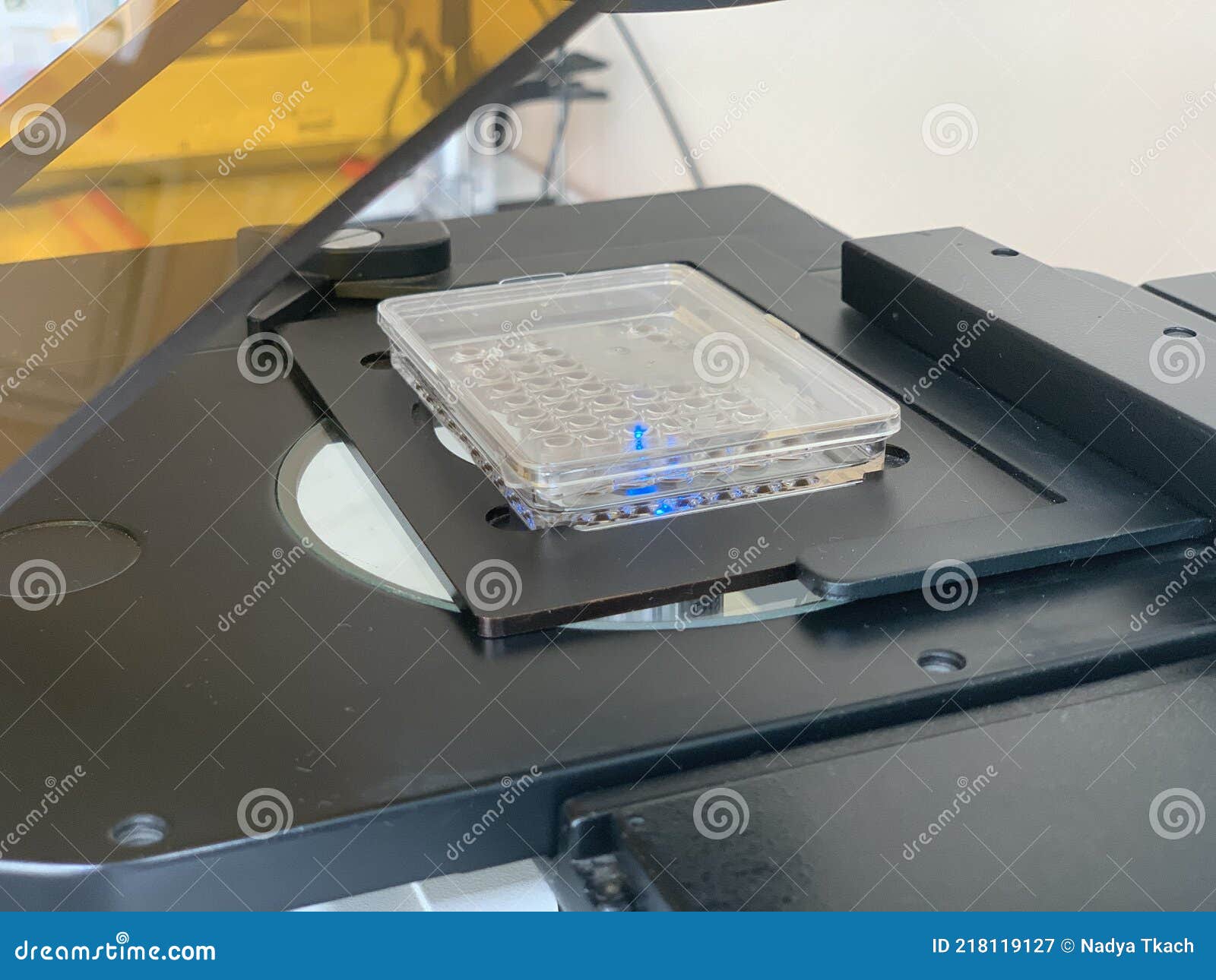 Laboratory Inverted Microscope with Terasaki Plates. Stock Image ...