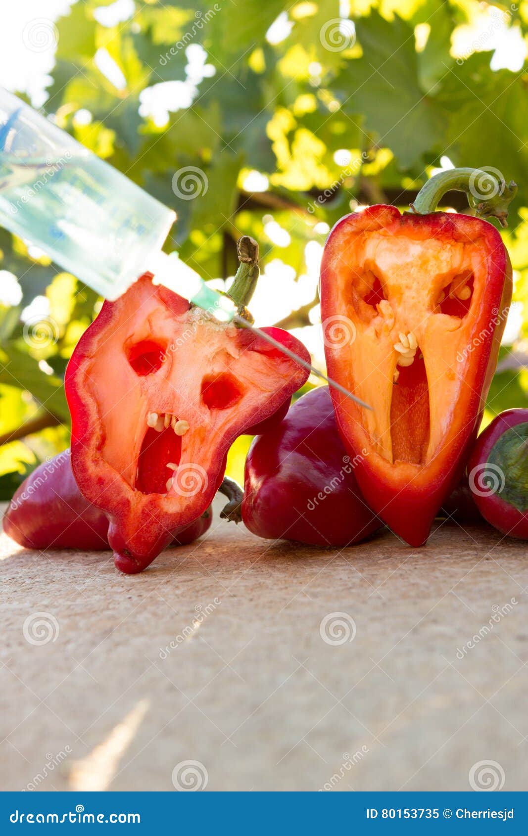Laboratory made food stock image. Image of biotechnology - 80153735