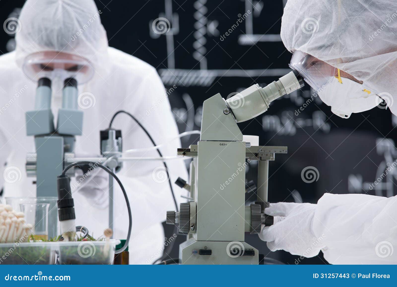 Laboratory Microscope Analysis Stock Image - Image of applied, doctor ...