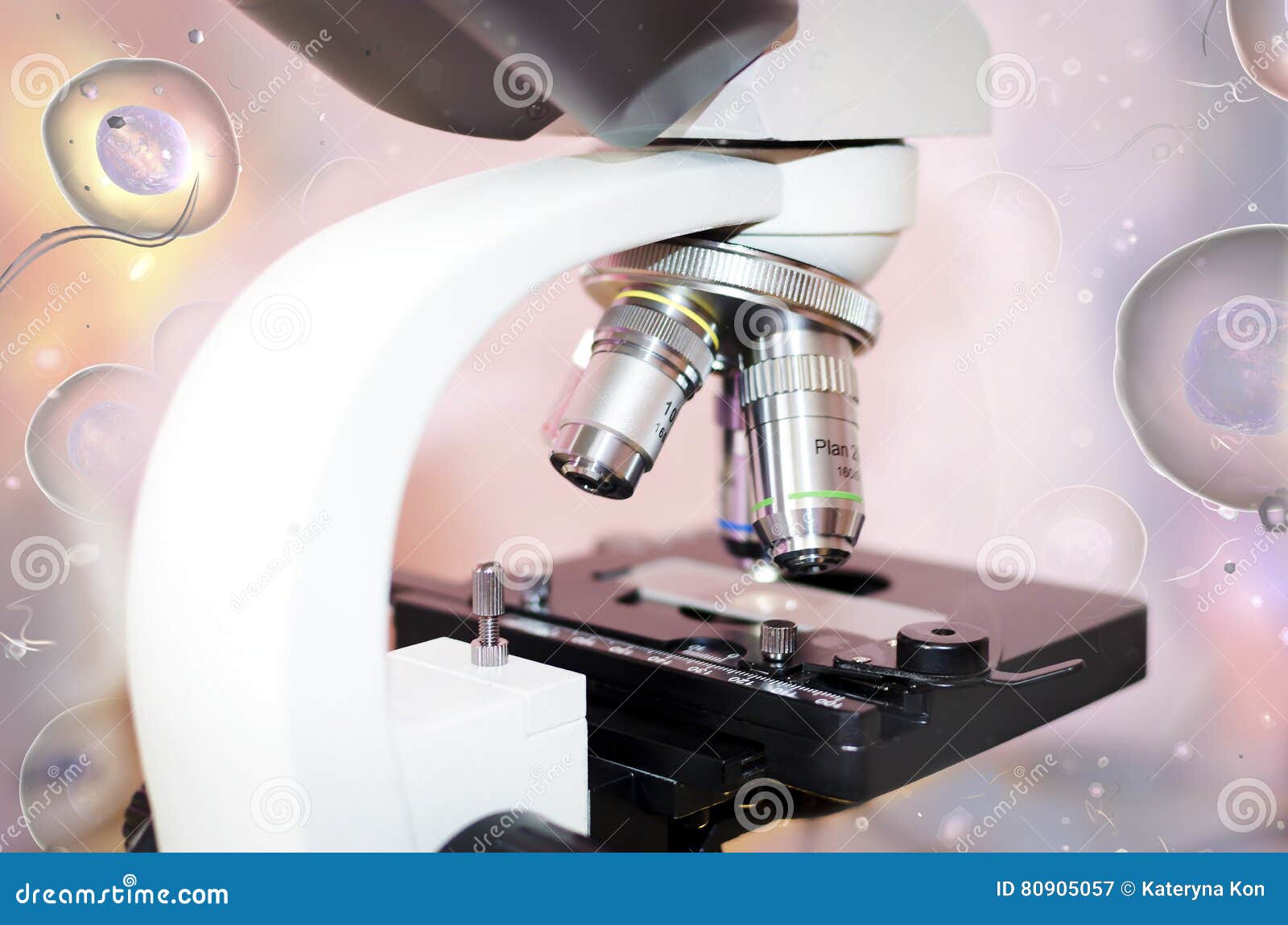 Laboratory Microscope and Human Cells Stock Illustration - Illustration ...