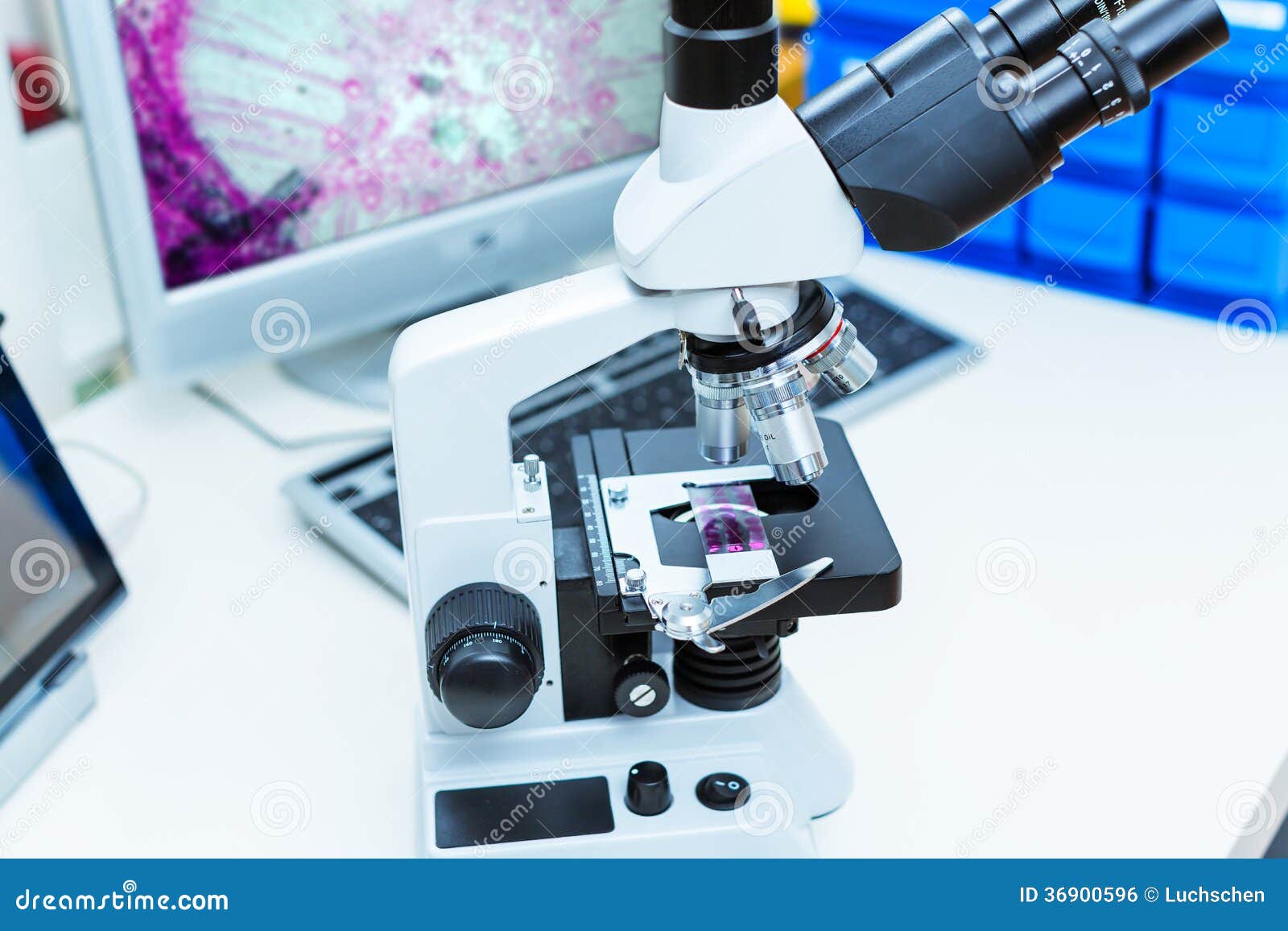 Laboratory microscope stock photo. Image of microscope - 36900596