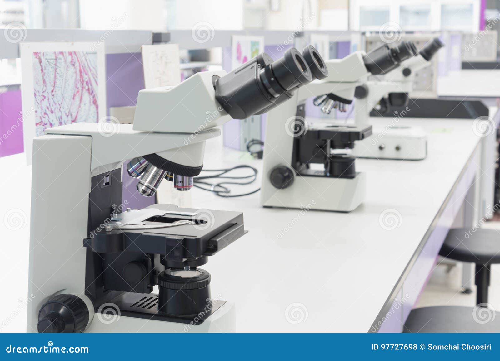 Laboratory Microscope stock photo. Image of experiment - 97727698