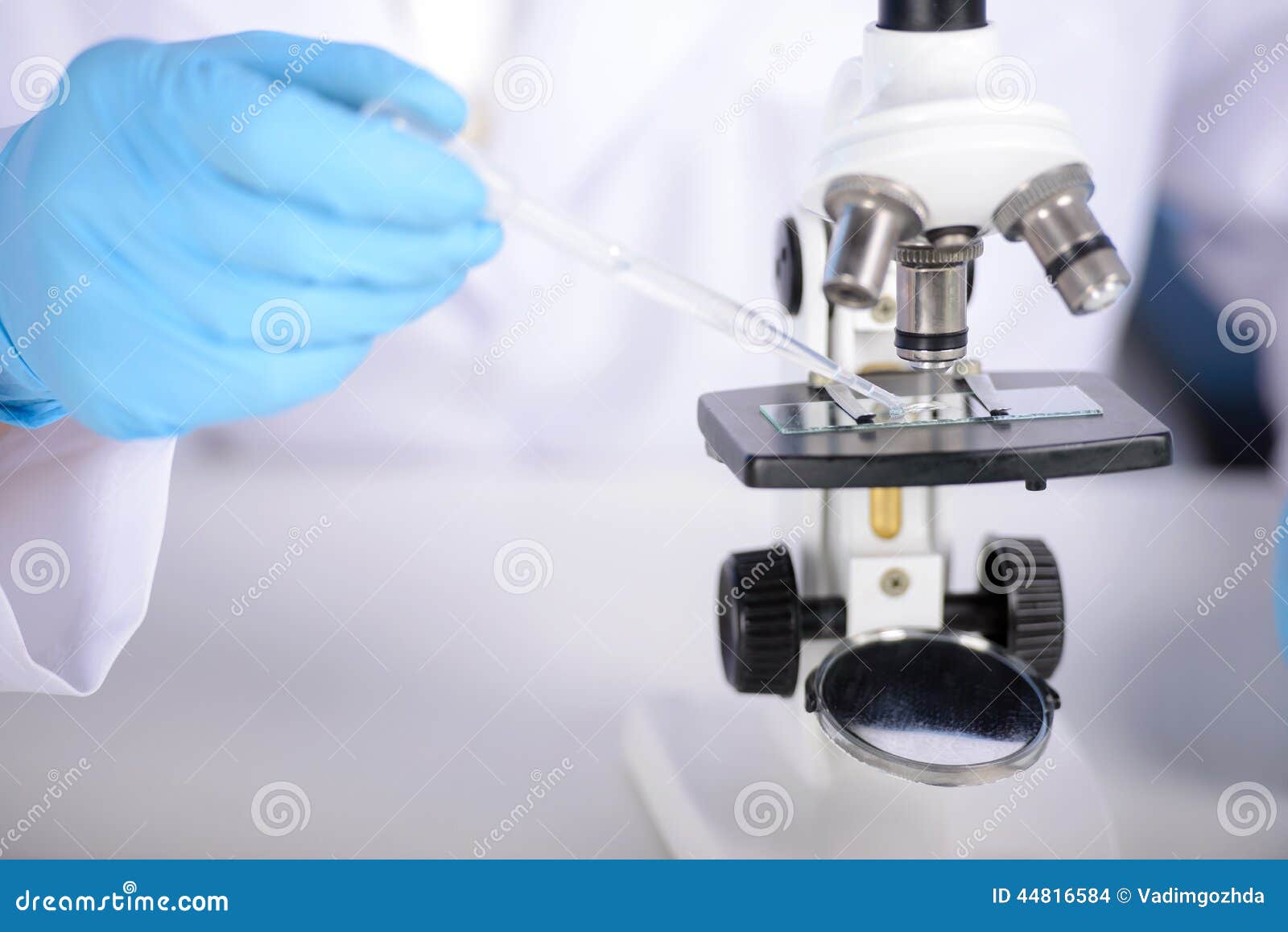 Laboratory stock photo. Image of discovery, investigation - 44816584