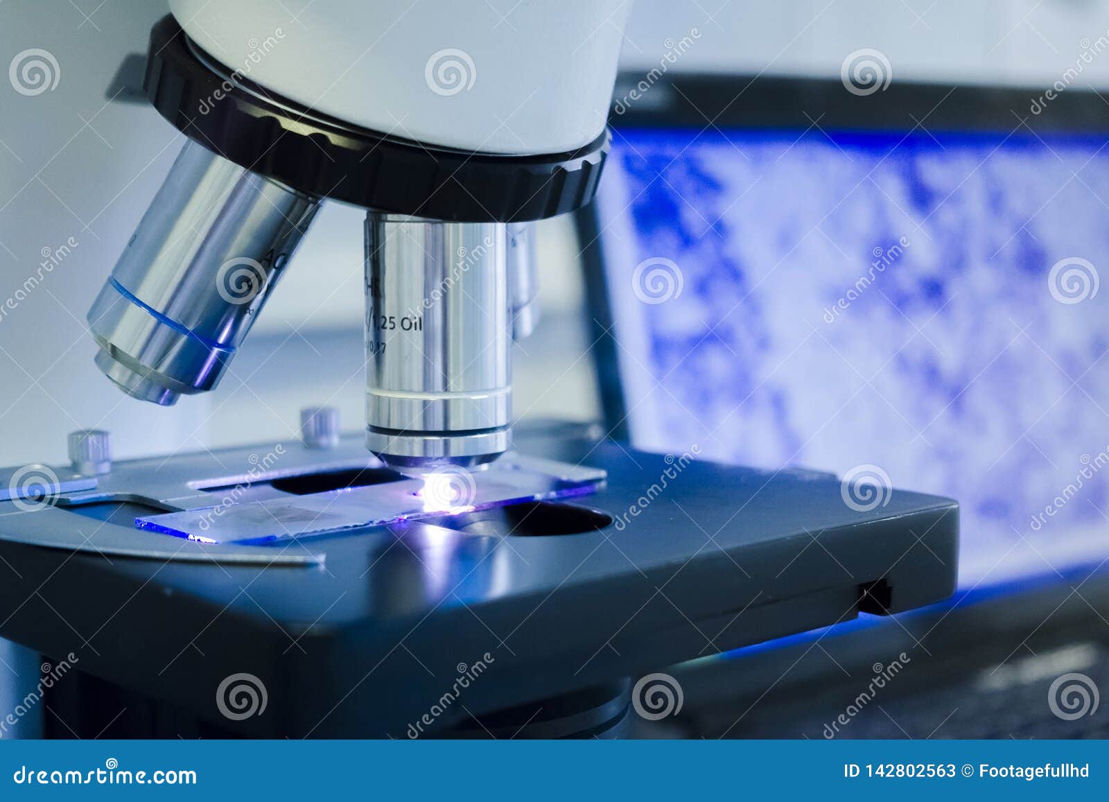 Study of Bacteria Under a Microscope. Stock Image - Image of objective ...