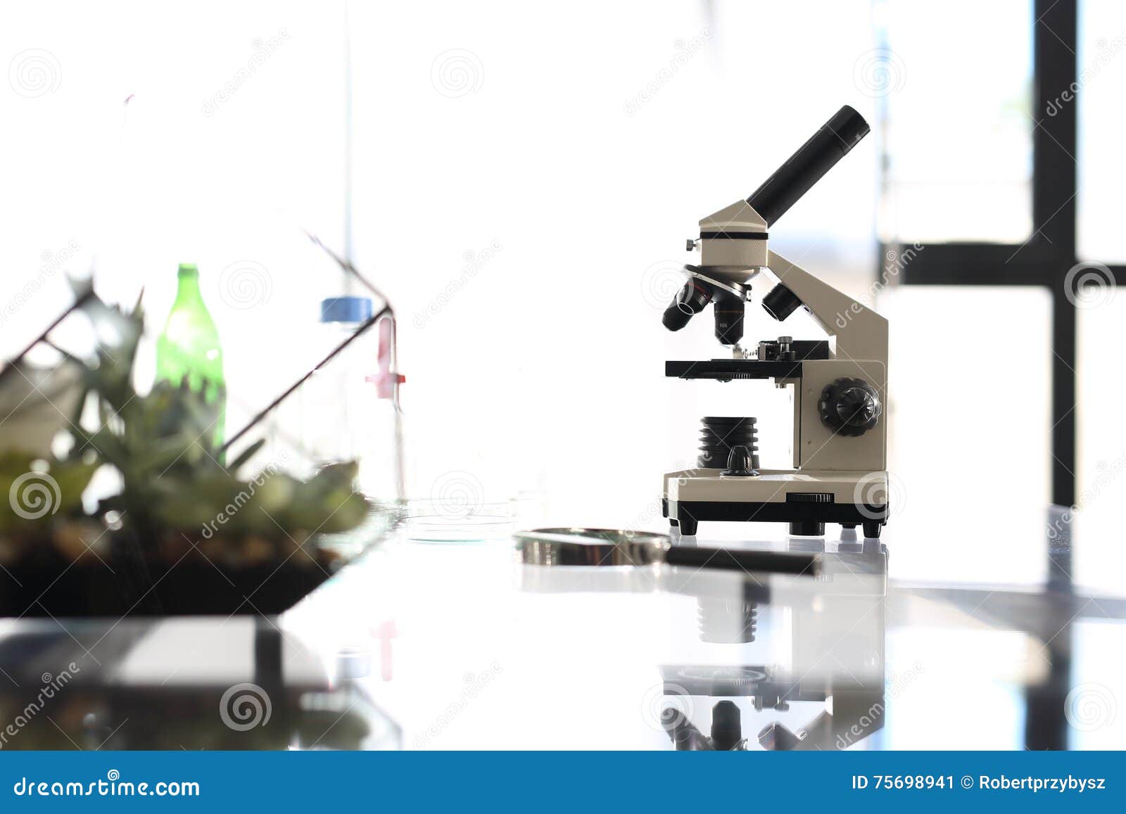 Laboratory stock image. Image of technical, study, chemistry - 75698941