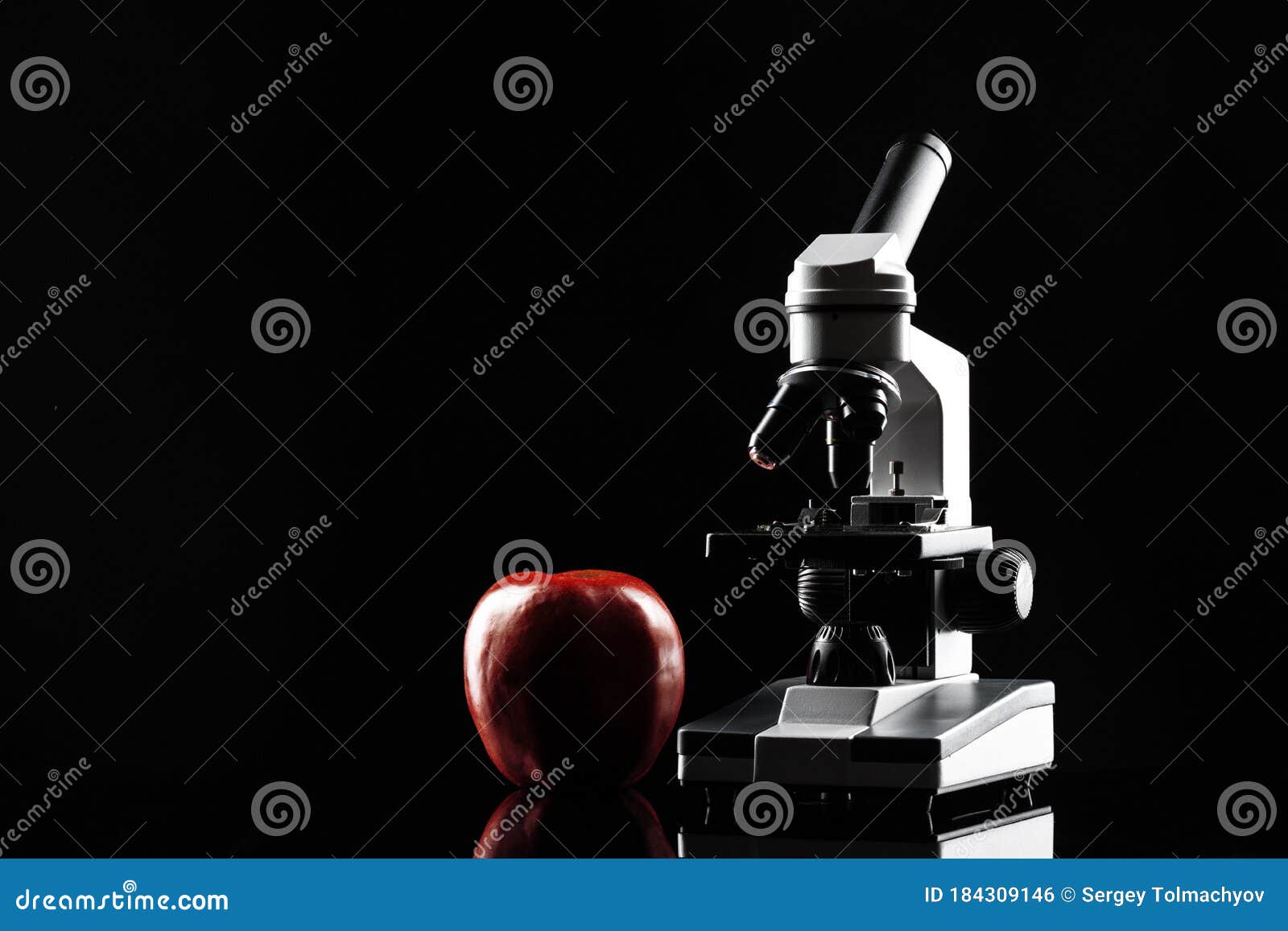 Laboratory Microscope on Table in the Dark Stock Photo - Image of ...