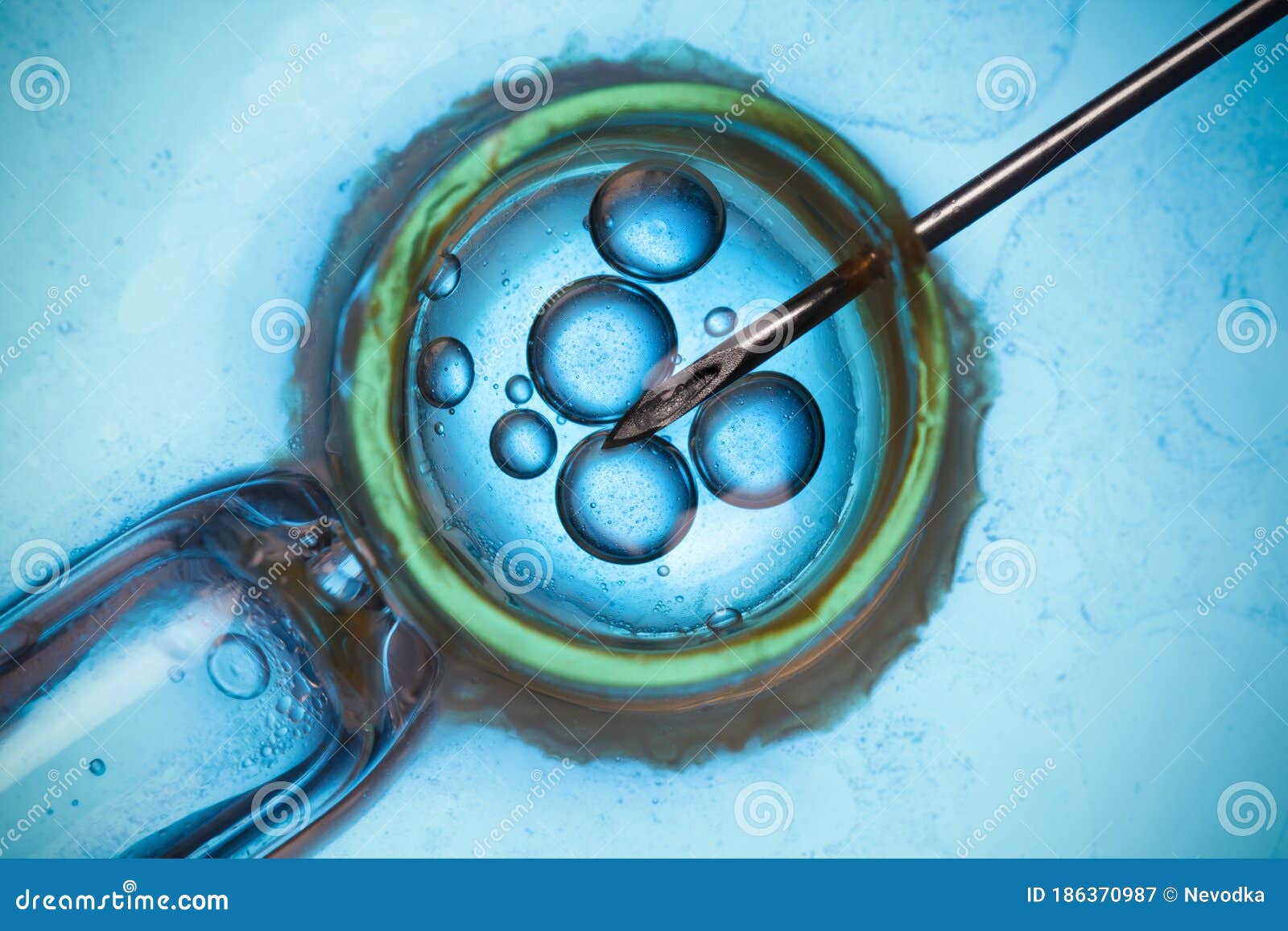 Microscopic Research or IVF Macro Concept Stock Image - Image of ...