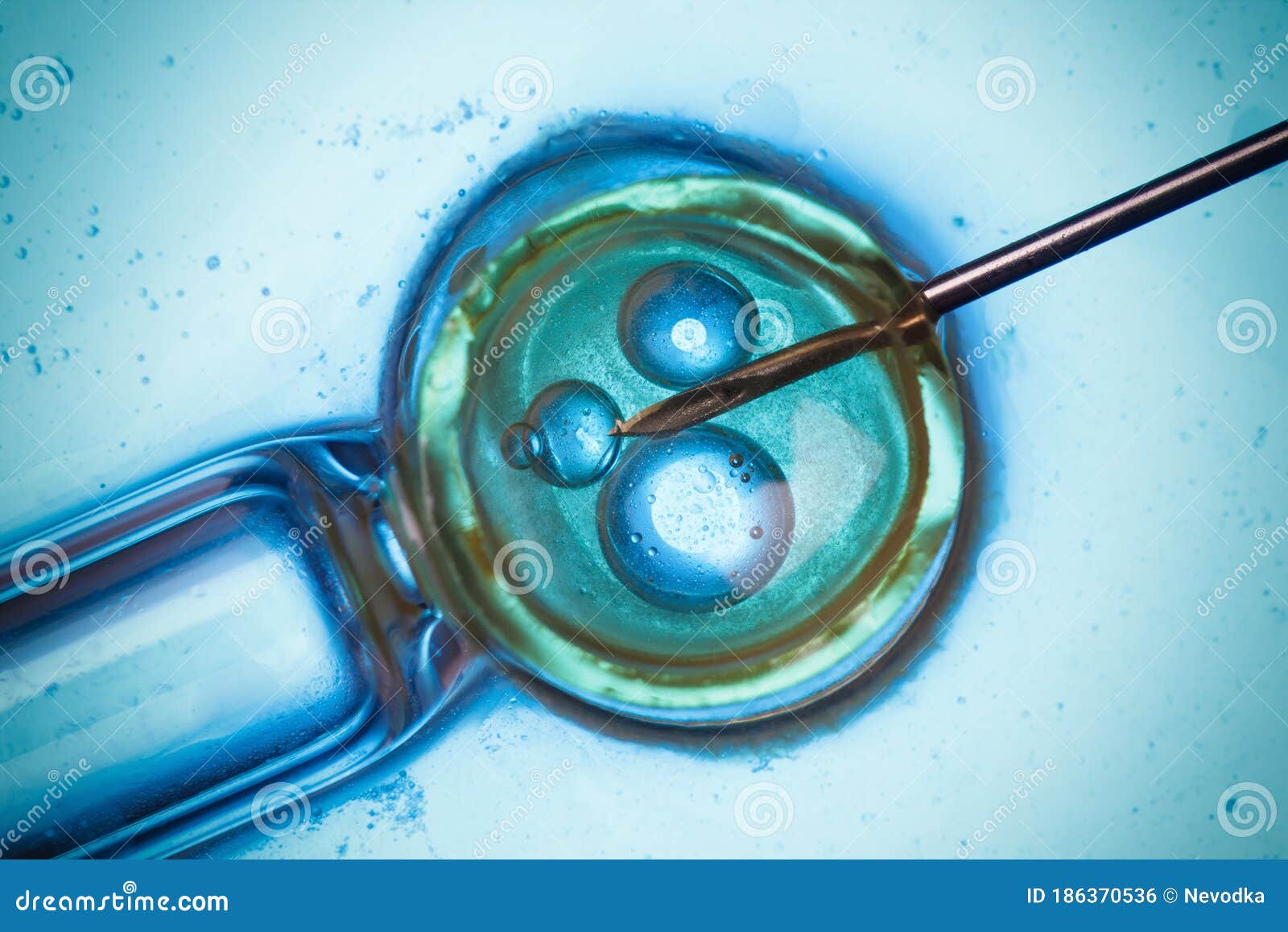 Laboratory Microscopic Research, Virus, Bacteria or Cell Stock Photo ...