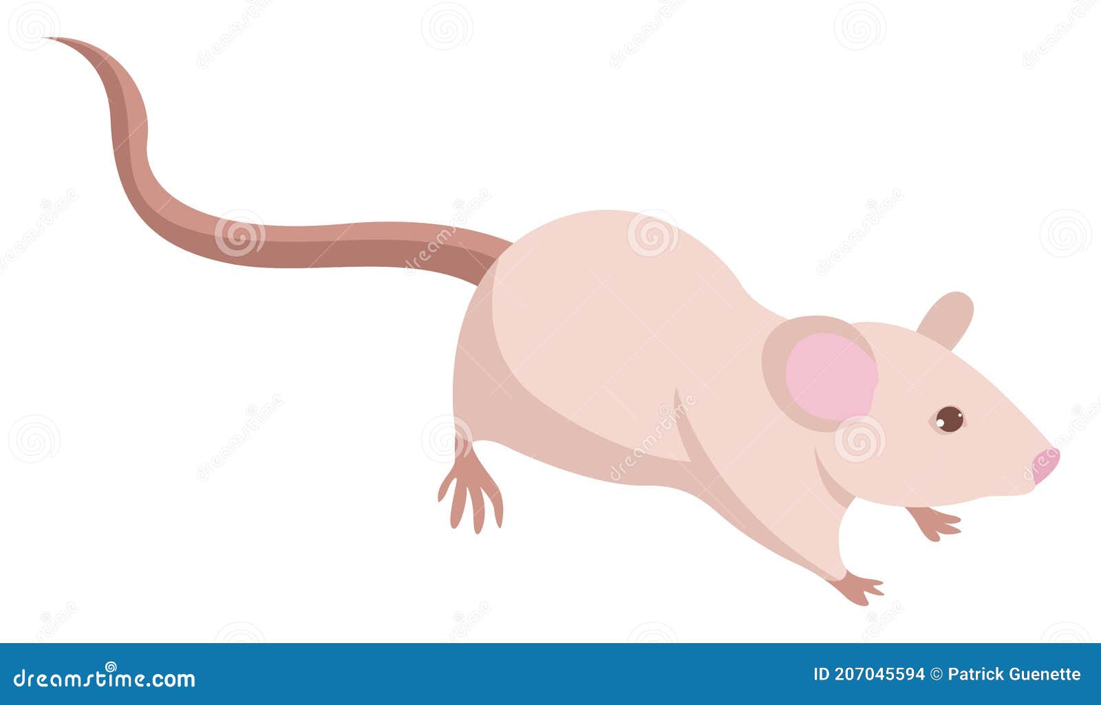 Laboratory Mouse, Illustration, Vector Stock Vector - Illustration of ...