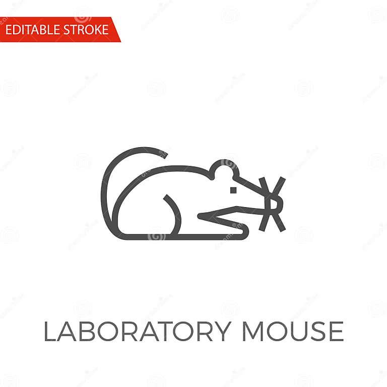 Laboratory Mouse Vector Icon Stock Vector - Illustration of mammal ...