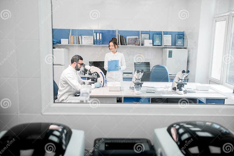 Laboratory Office with Medics and Microscopes Stock Image - Image of ...