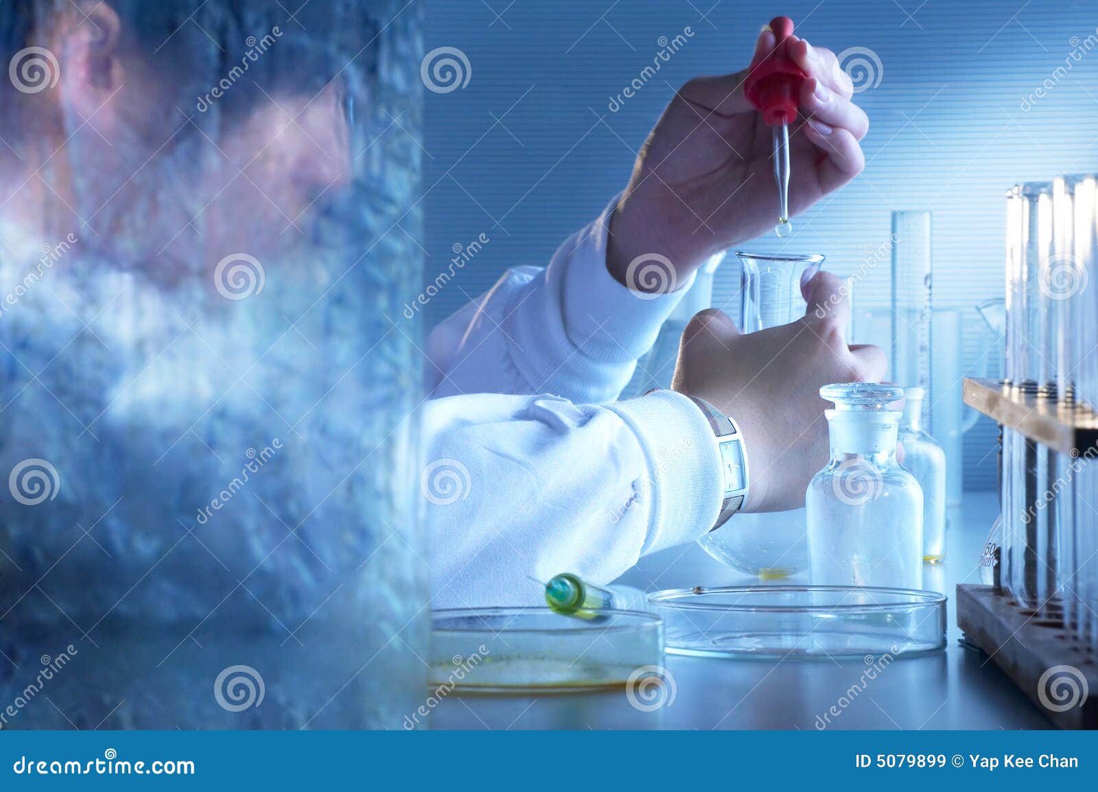 Laboratory Personnel stock image. Image of medical, solutions - 5079899