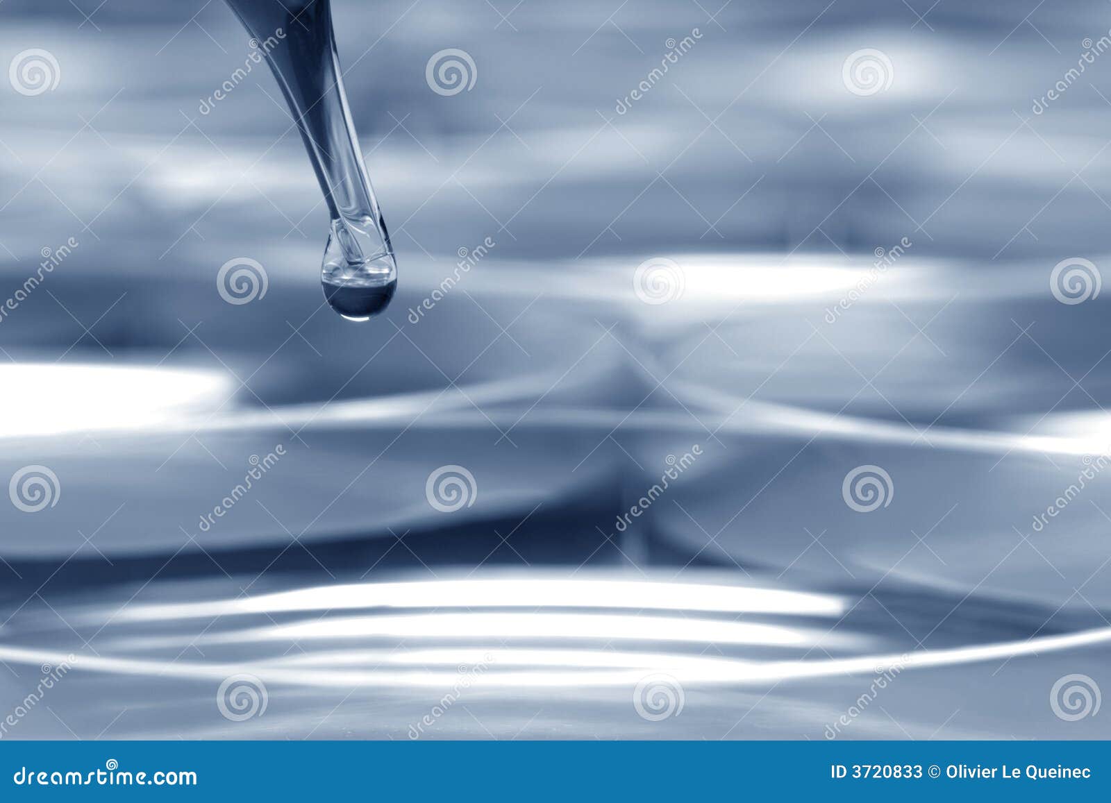 Laboratory Petri Dishes in Science Research Lab Stock Image - Image of ...
