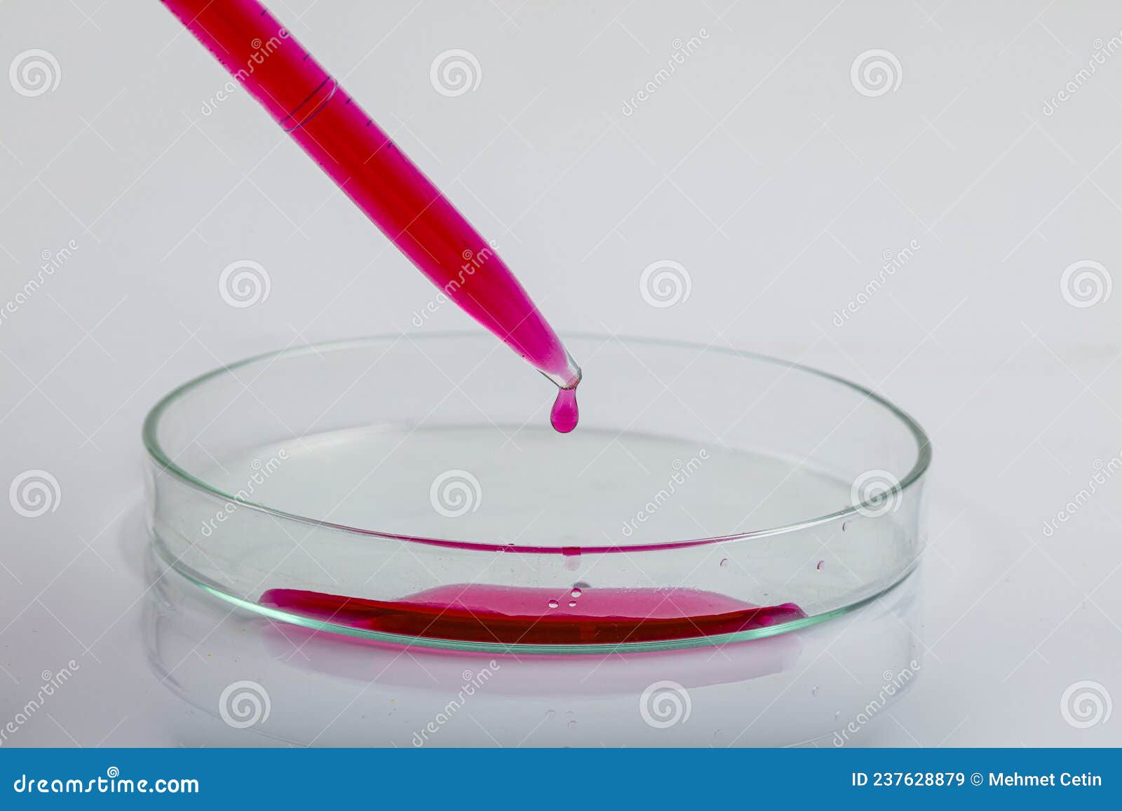 Laboratory Pipette with Drop of Red Liquid Over Petri Dishes with Red ...