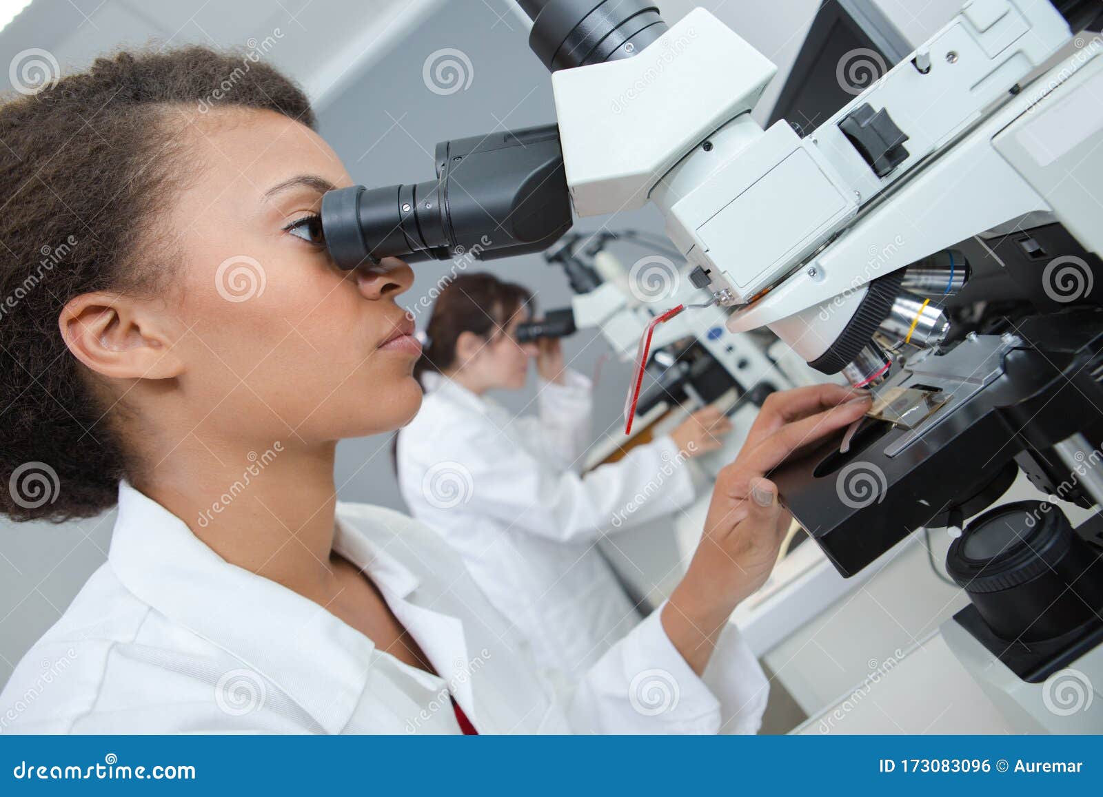 Laboratory Professional Examining Organism Under Microscope Stock Photo ...