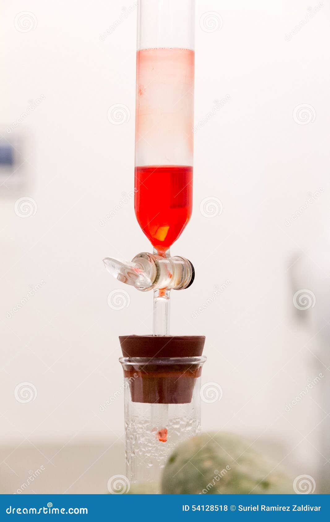 At the laboratory stock photo. Image of chemestry, science - 54128518