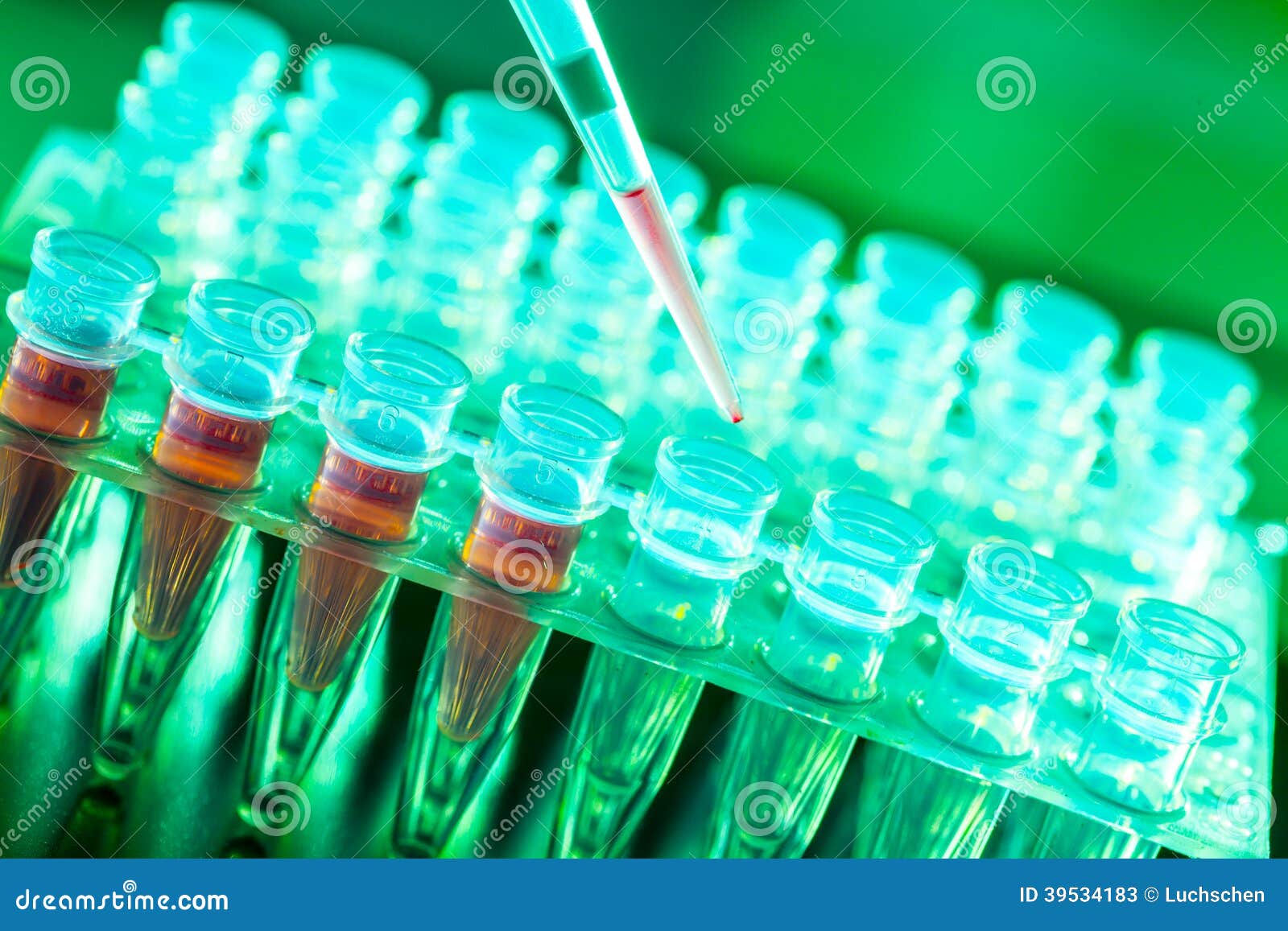 Laboratory Research Cancer Diseases, Rack with RNA Samples Stock Image ...